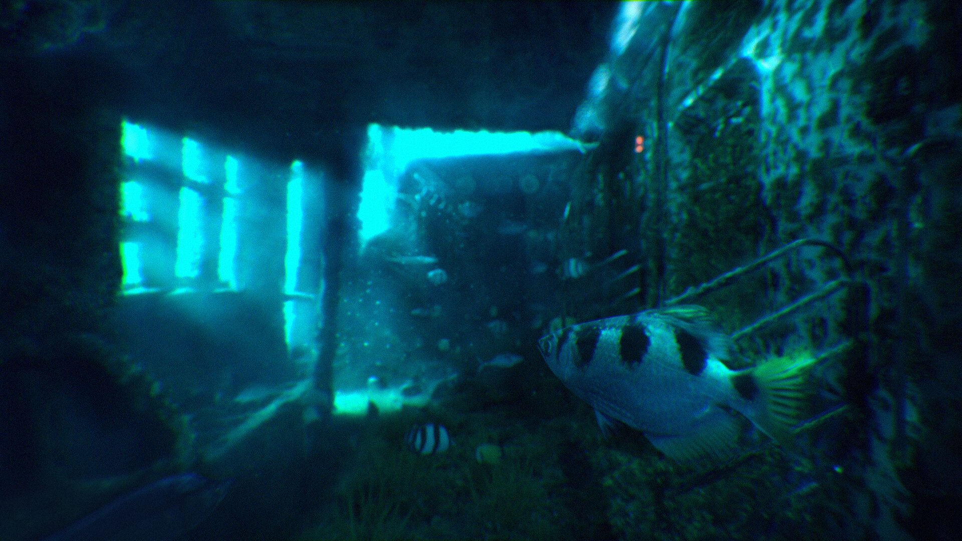 ArtStation - Train to nowhere (Ruin)