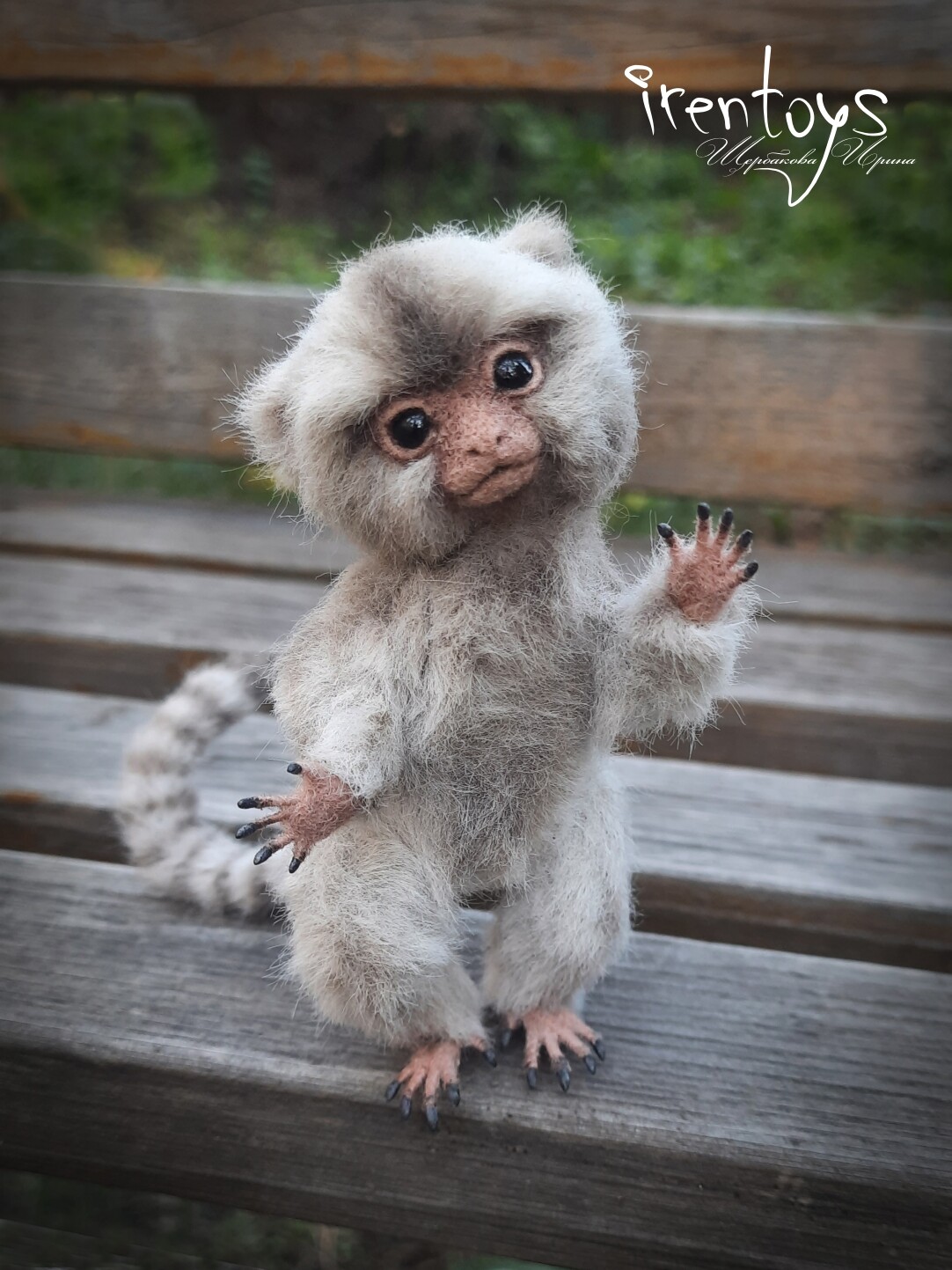 spider finger baby monkey