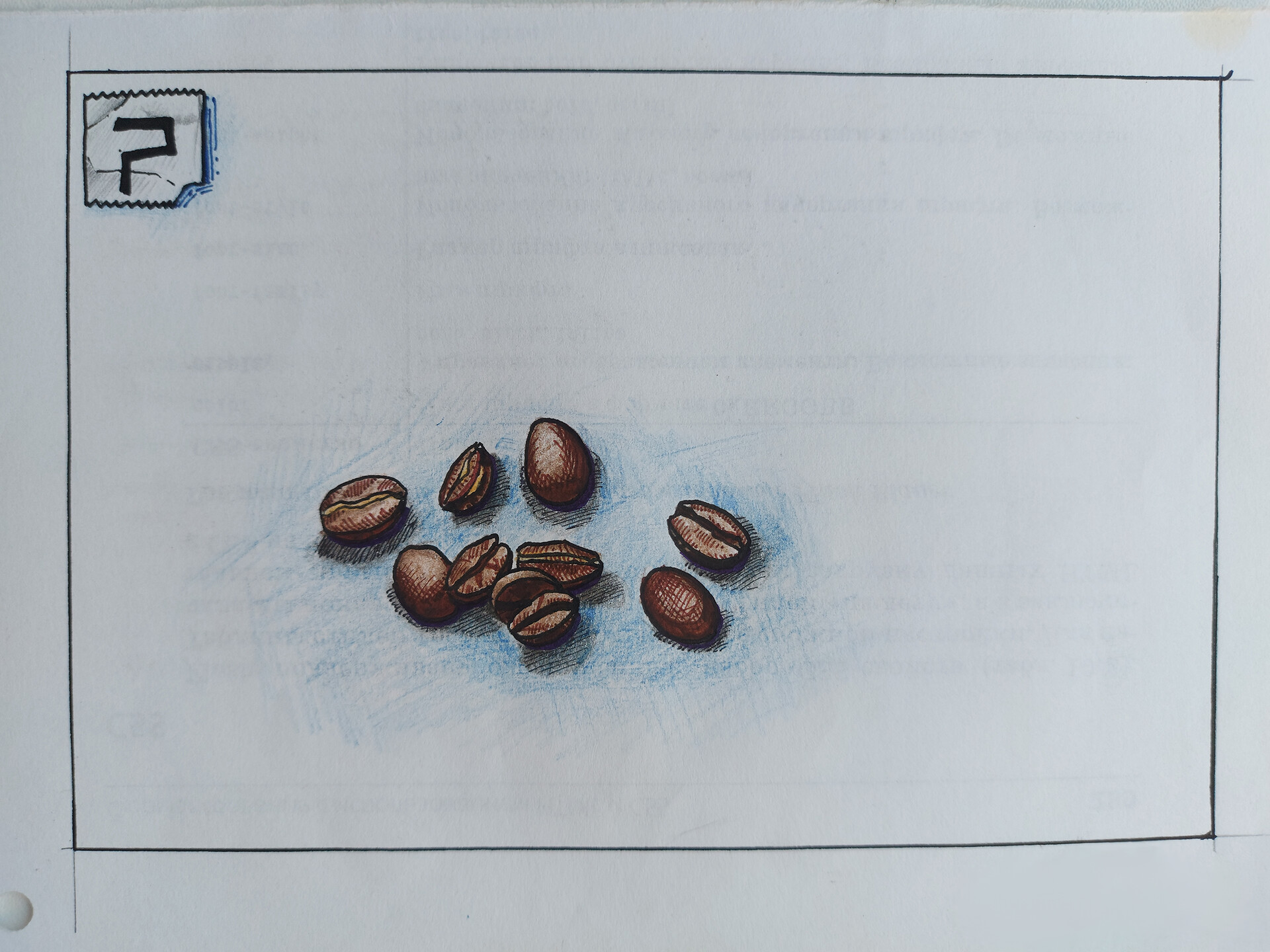 ArtStation - Coffee beans