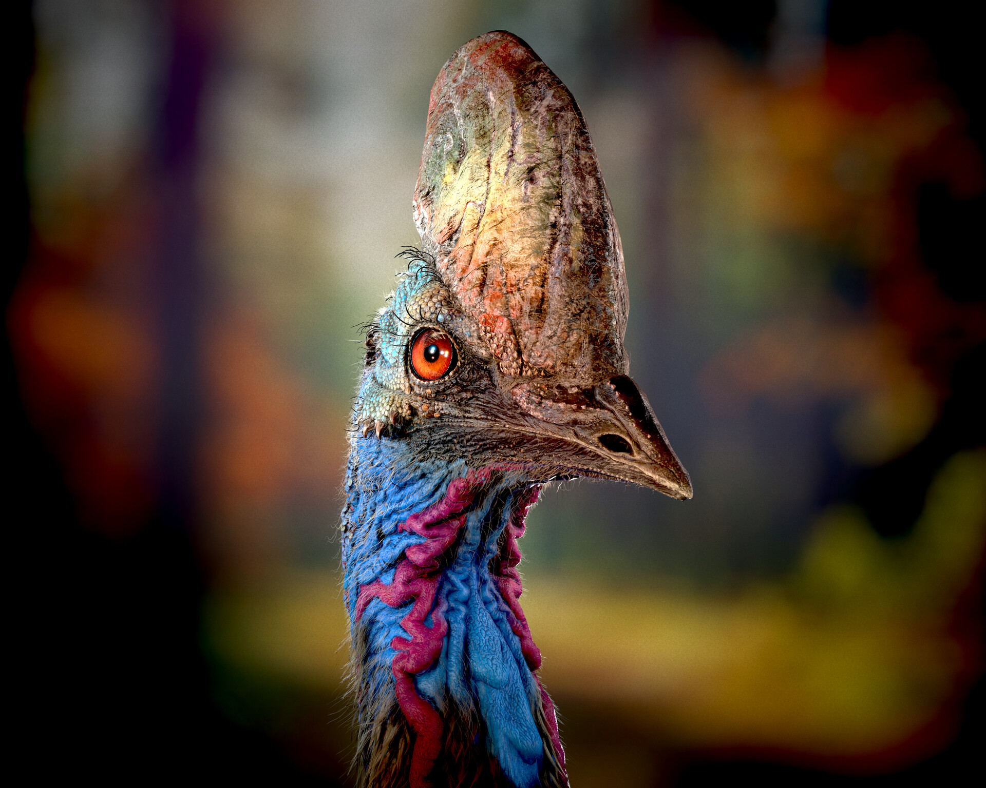 ArtStation - Cassowary with scales - real time