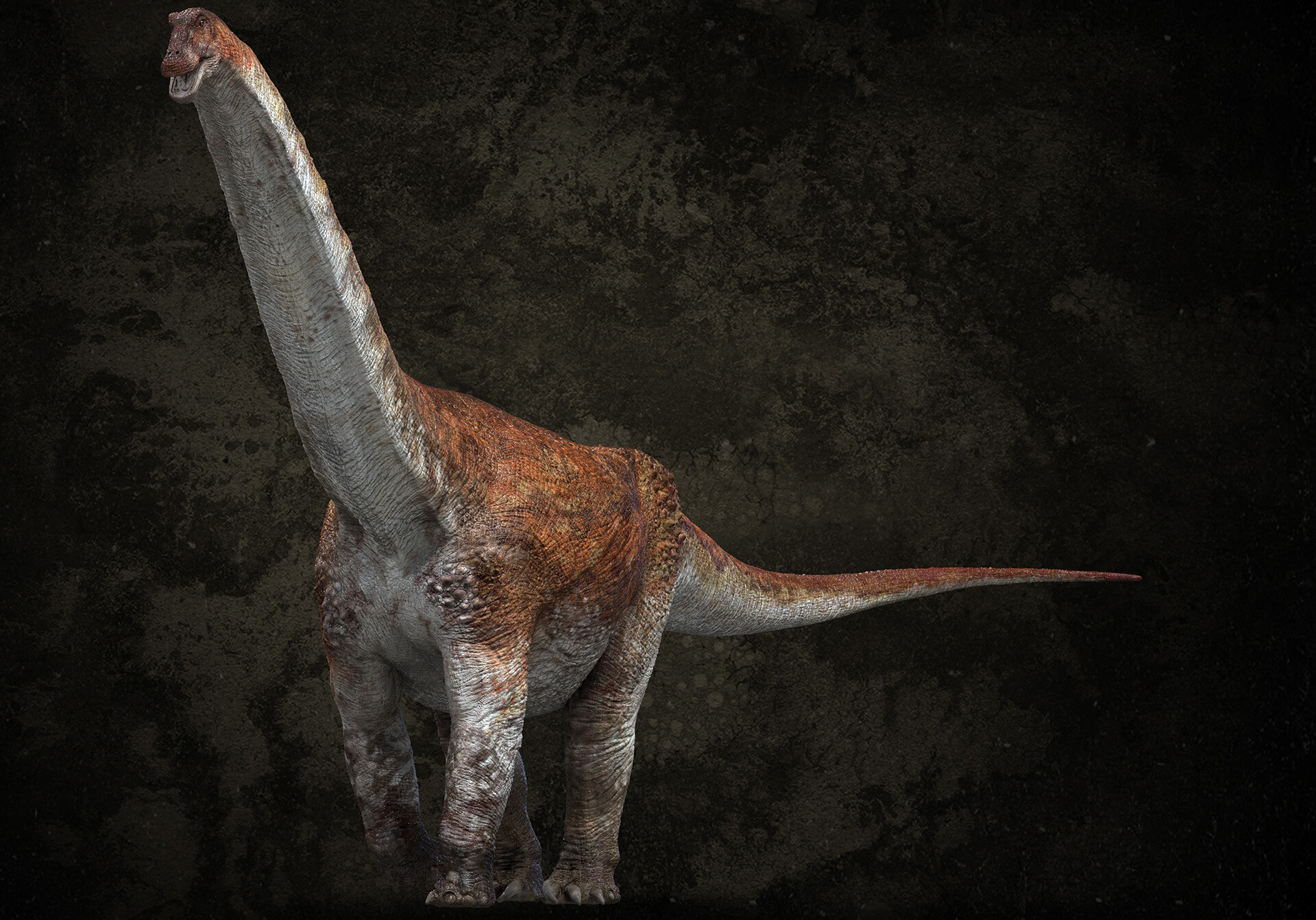 Cheung Chung Tat - Huanghetitan liujiaxiaensi