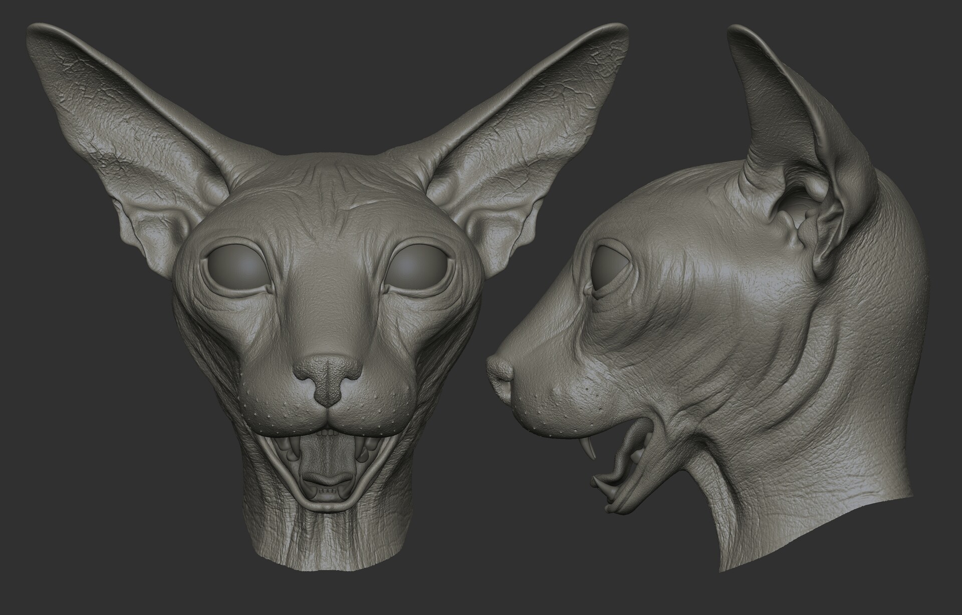 ArtStation - Cat portrait