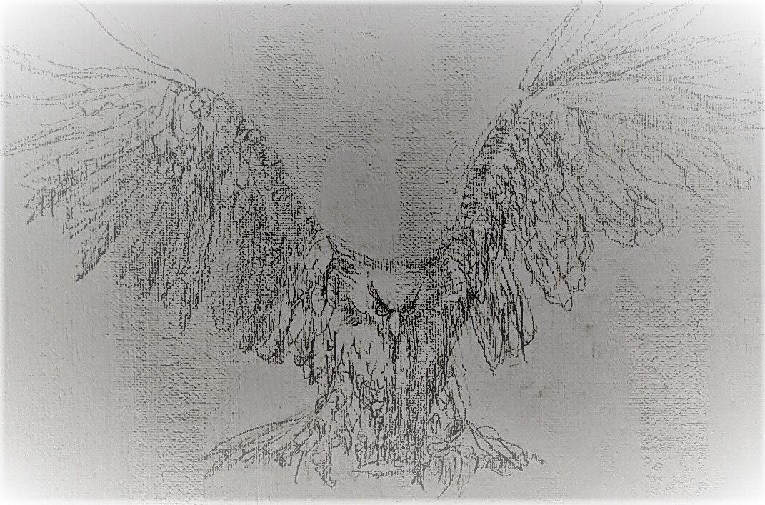 ArtStation - Eagle doodle