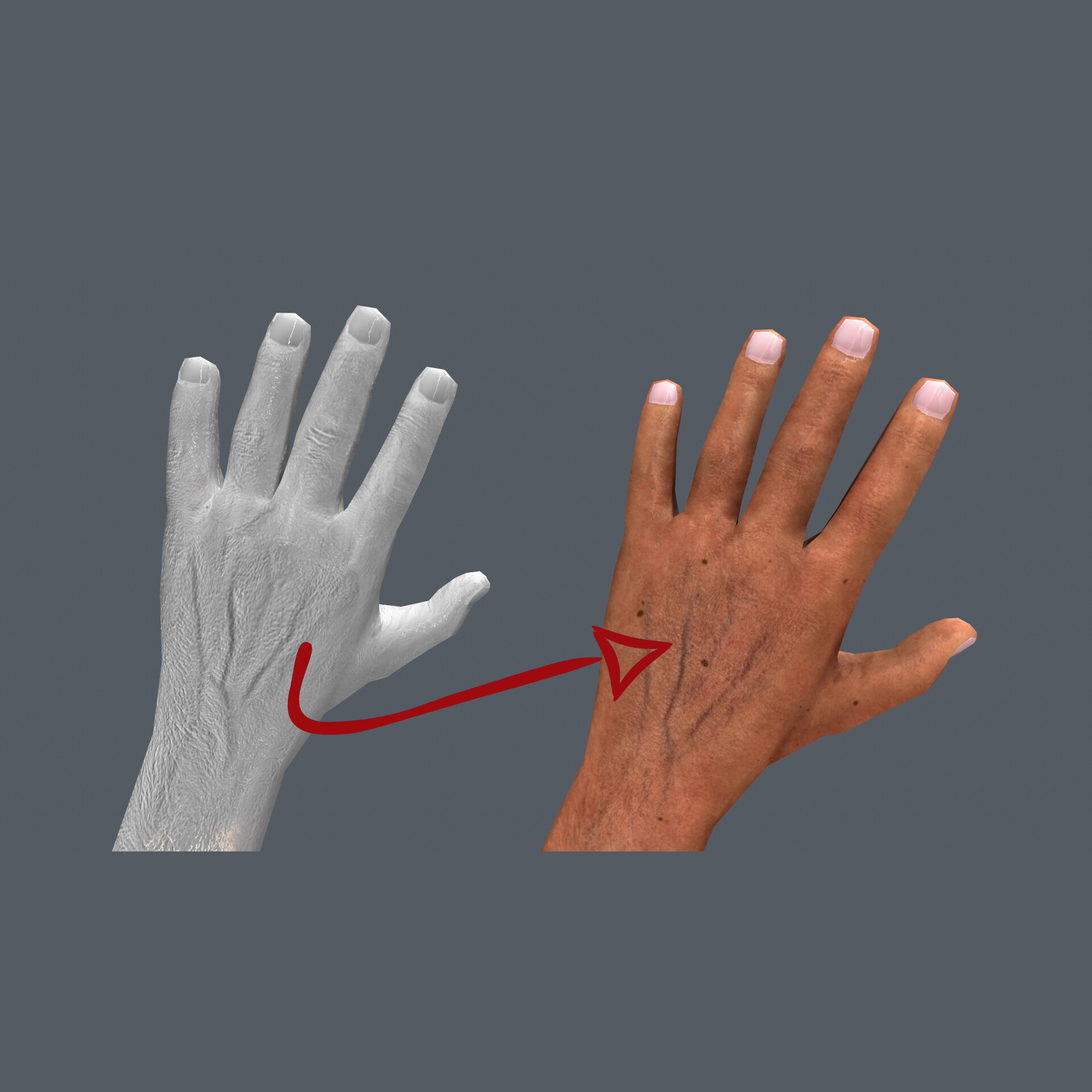 ArtStation - Hand - Texture Study