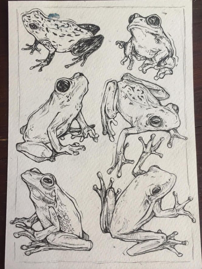 ArtStation - frog tattoo flash