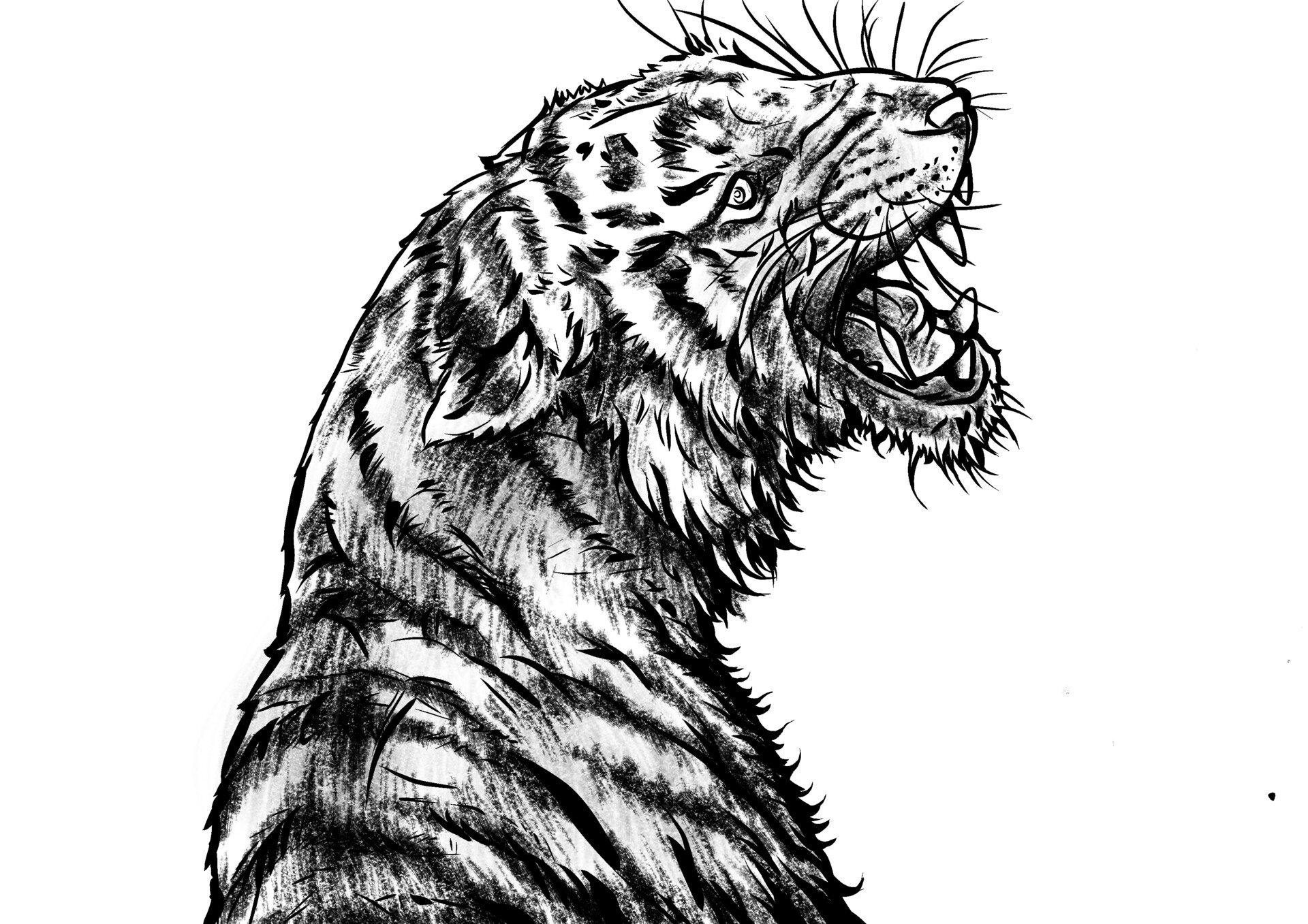 CoRe - Construction Of Reality - How to draw a roaring Tiger step by ...