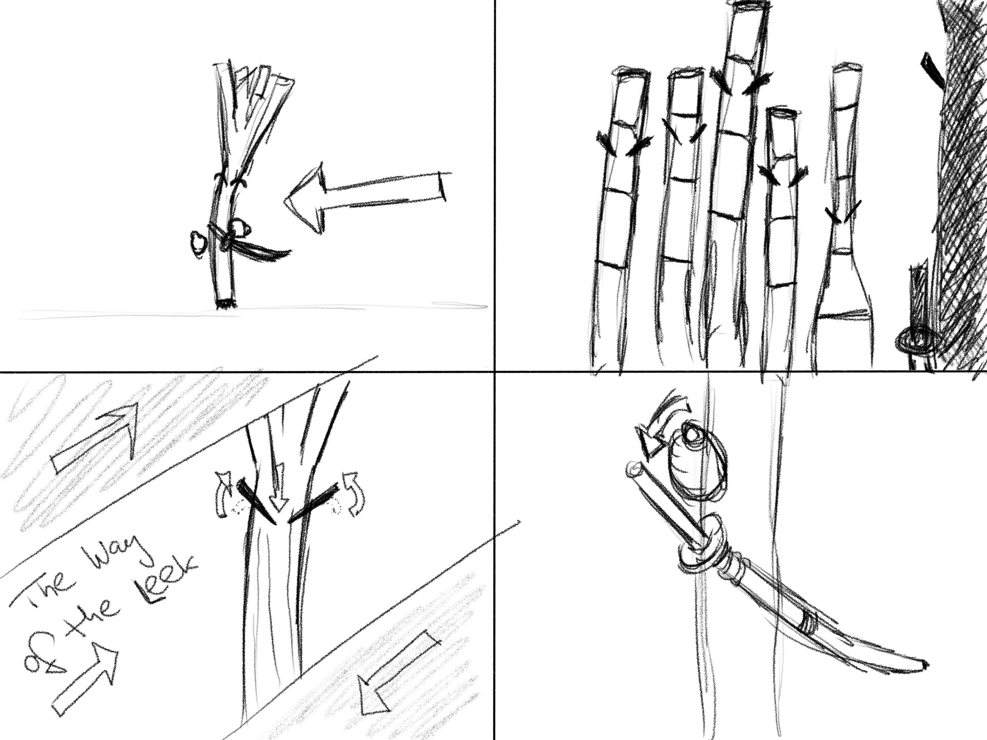 Till Vendel Horváth - Short-Animation - Bruce Leek