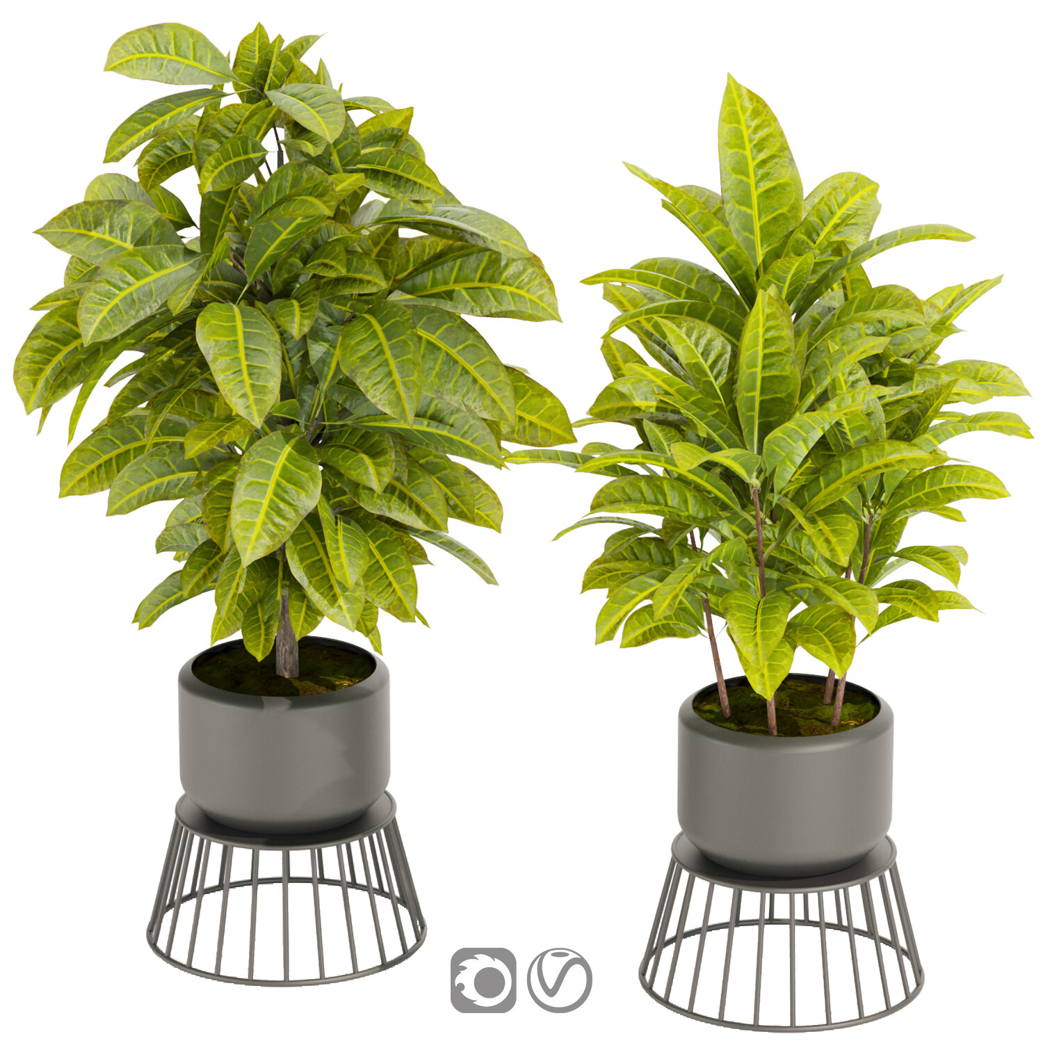 ArtStation - Collection plant vol 393 - indoor - leaf - pot - Croton ...