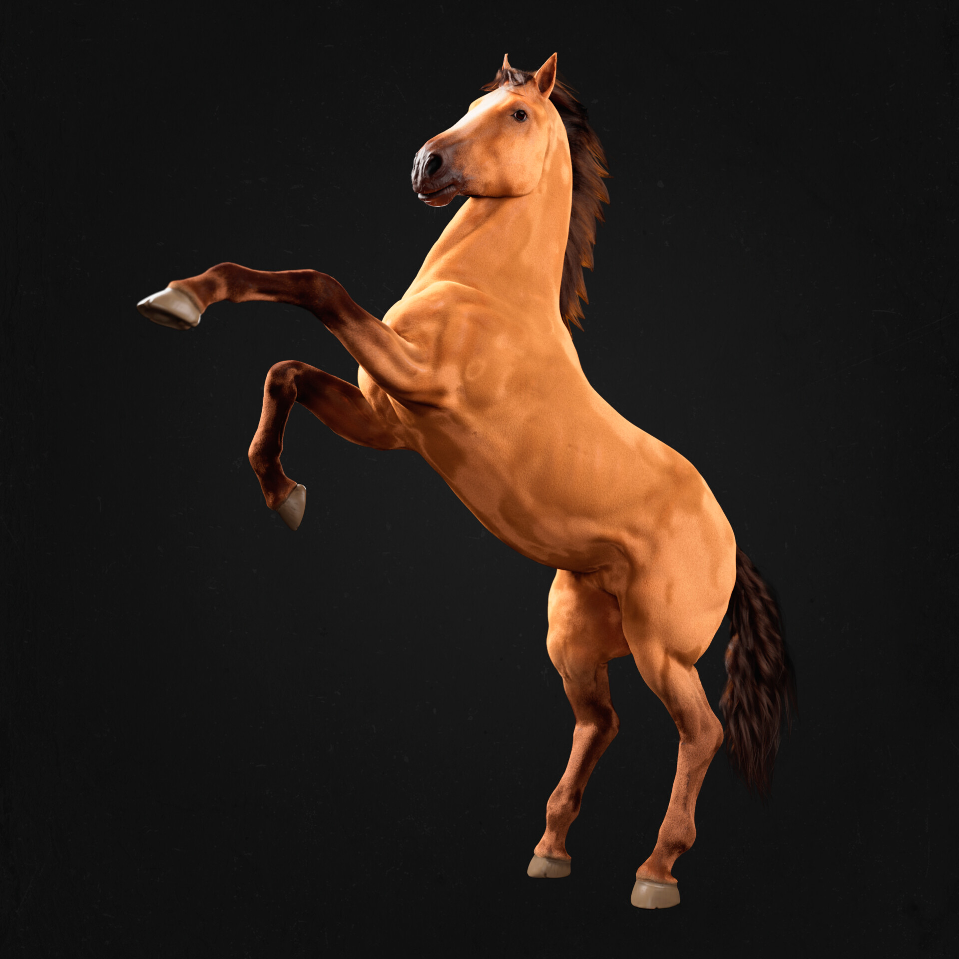 ArtStation - Horse