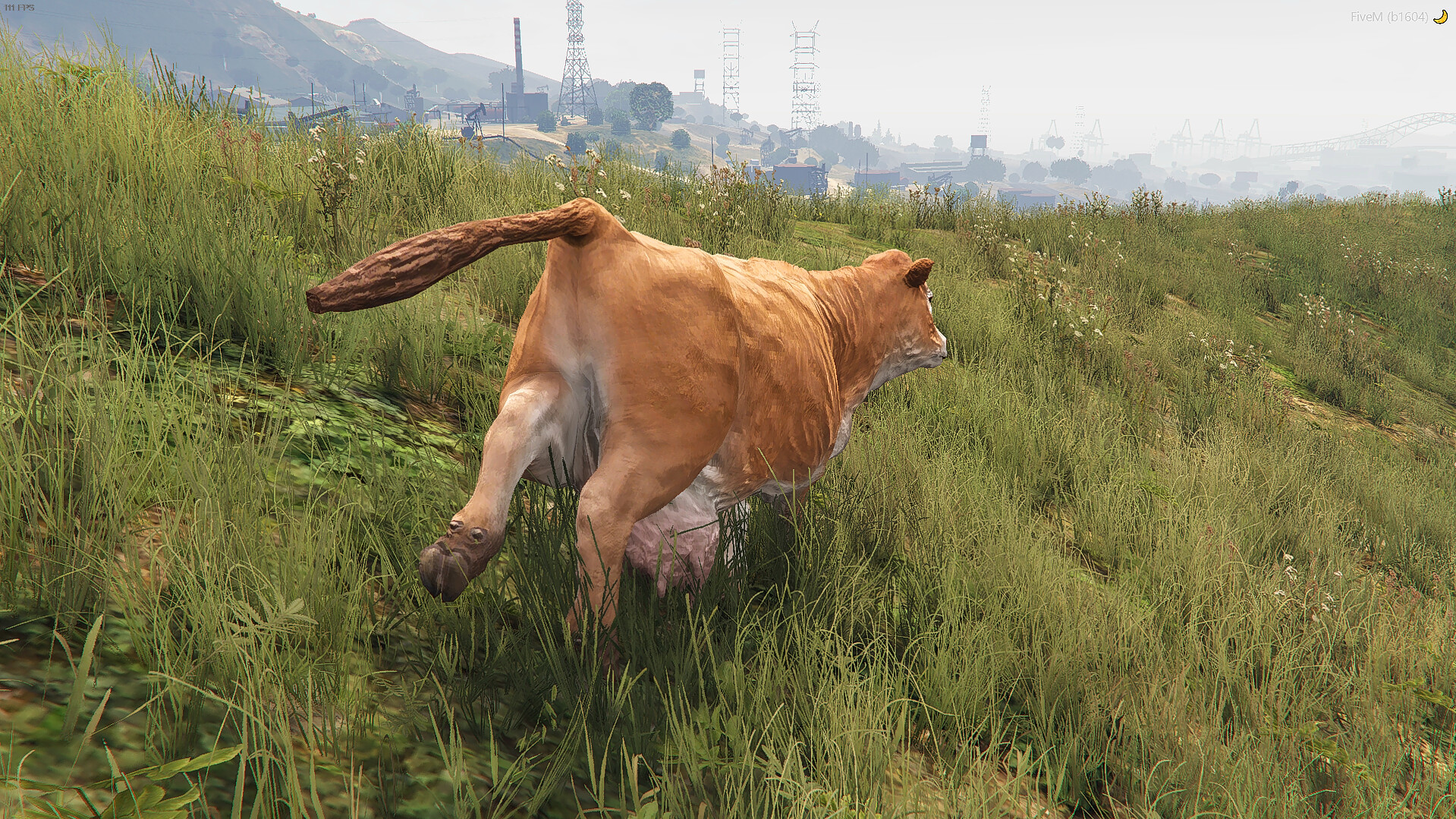 Gta 5 Mountain Lion