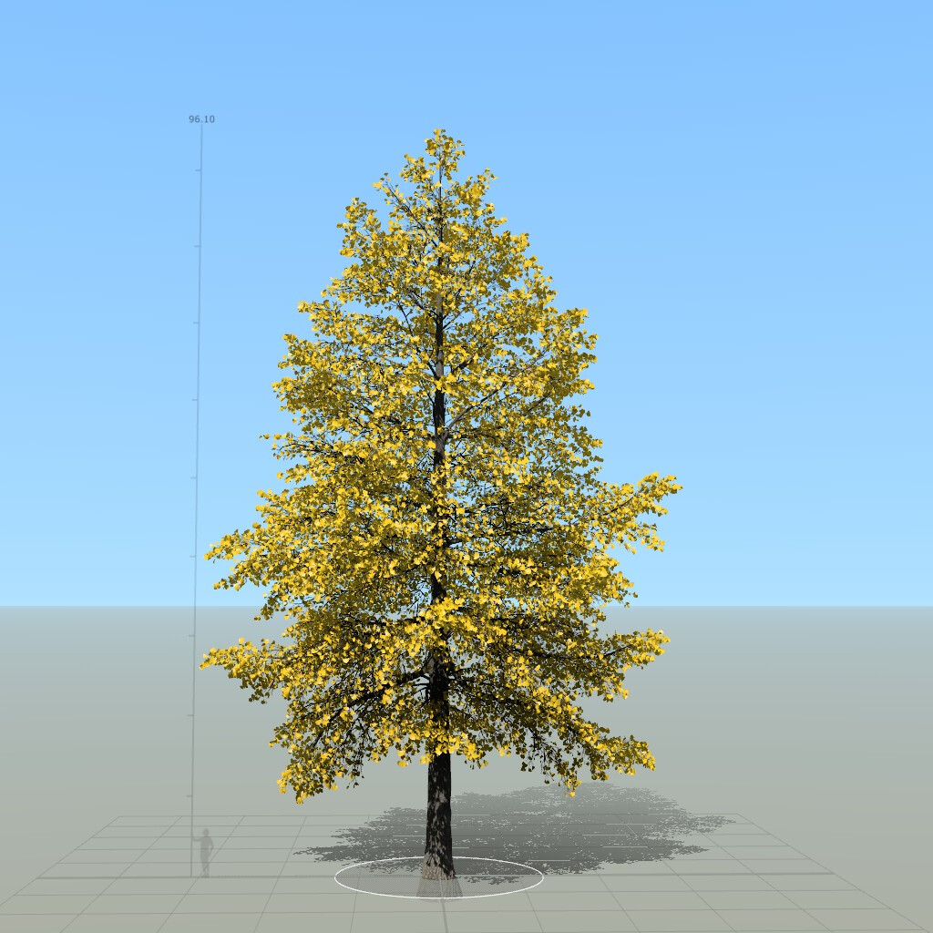 ArtStation - Game - Natural Environment - Tree (SpeedTree)