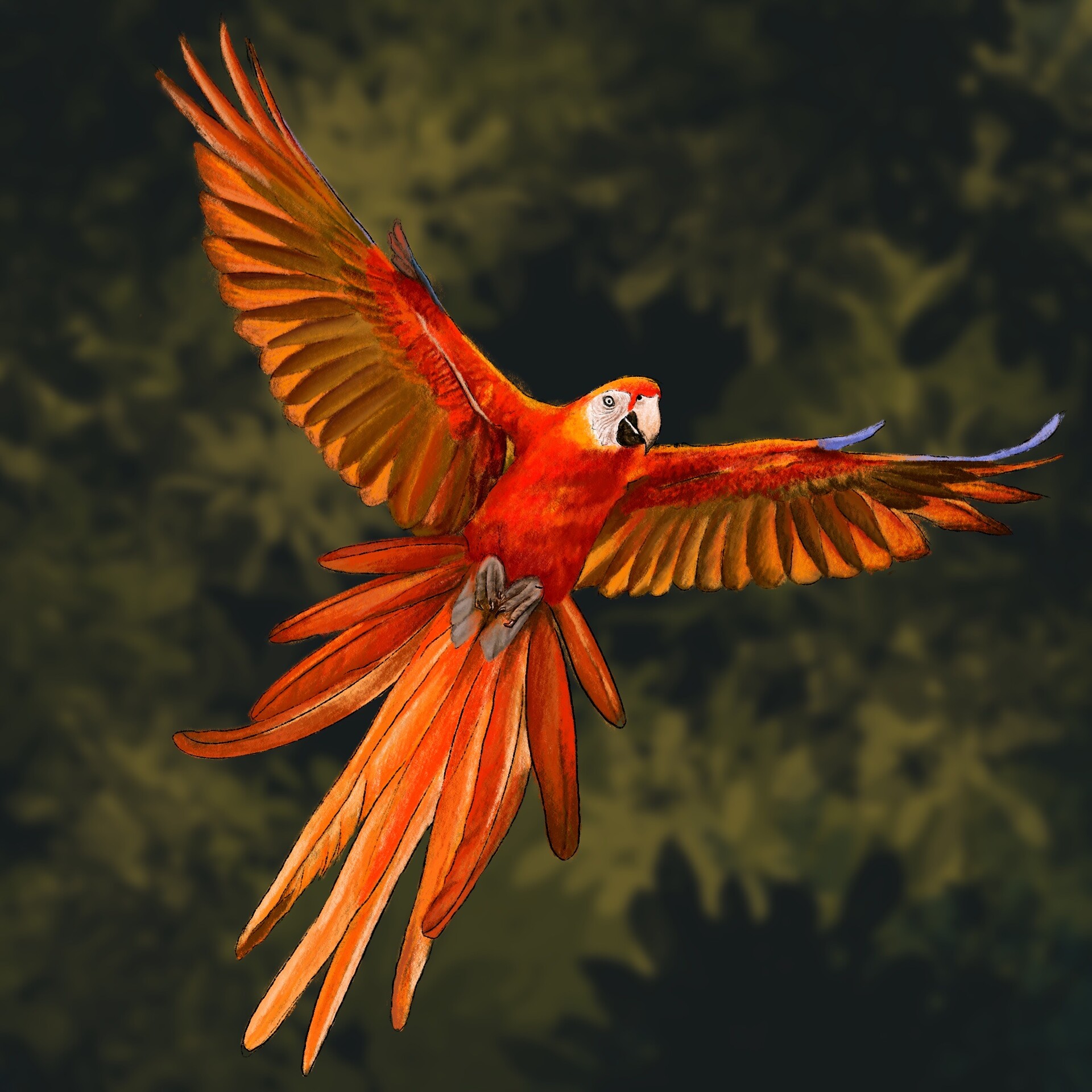 ArtStation - Big Bird