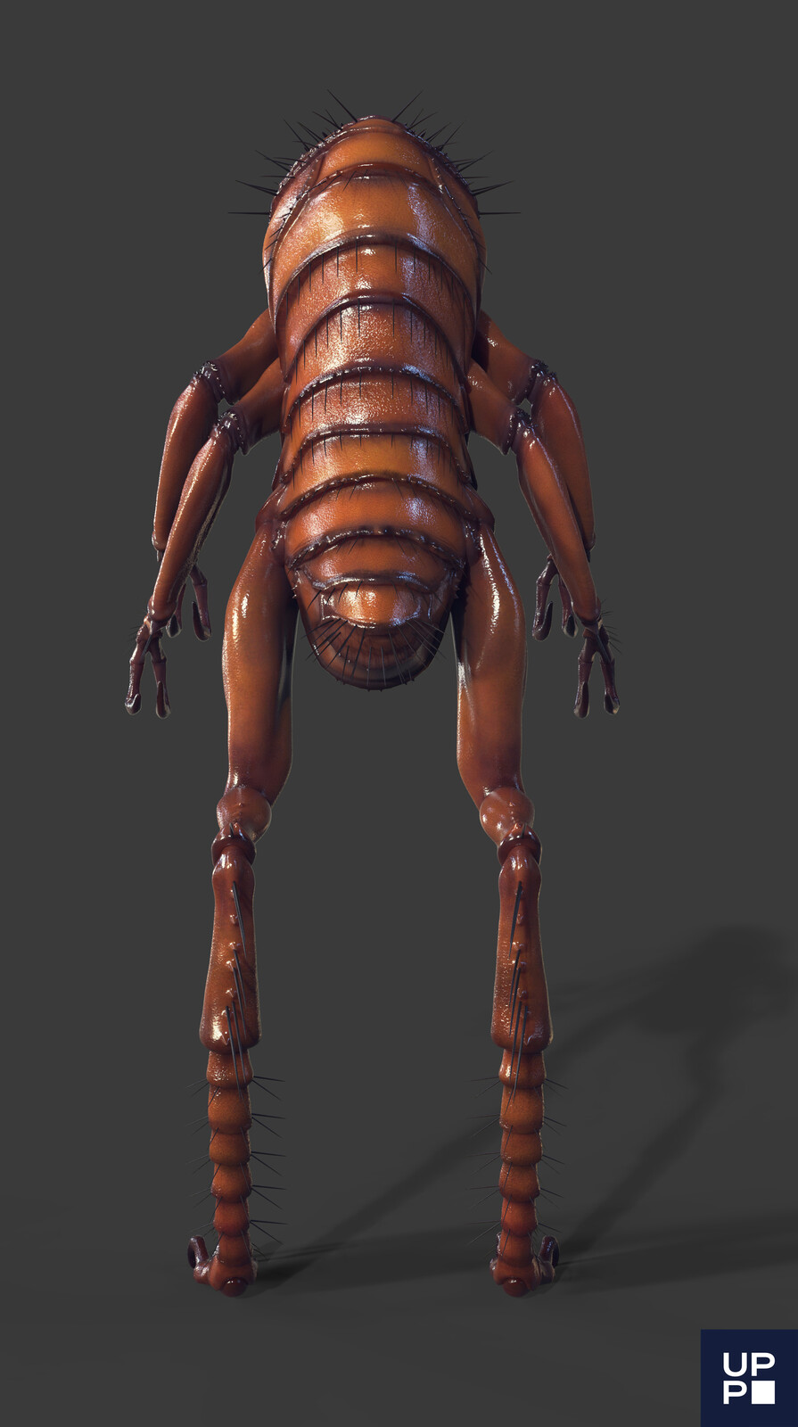 Lucas Somariva - Flea Creature