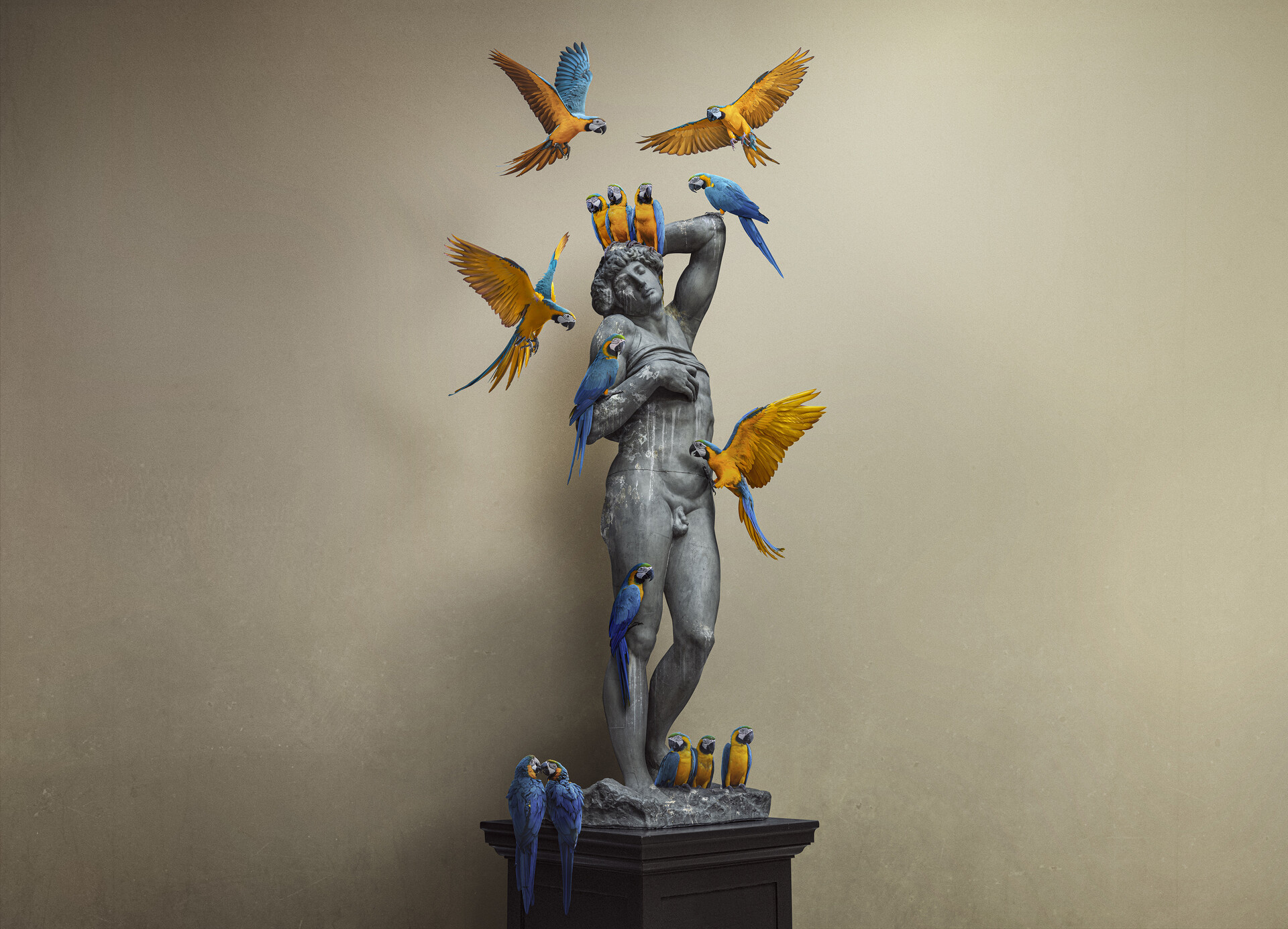 ArtStation - BIRD MOB BEIGE