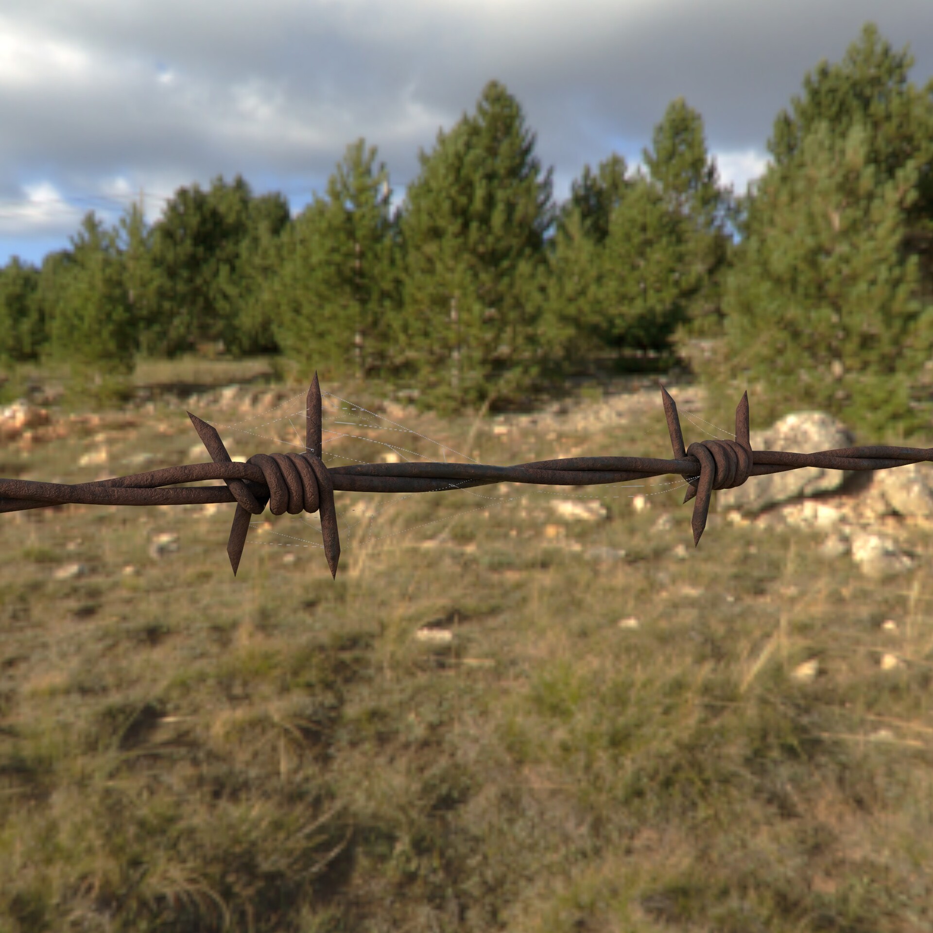 ArtStation - Barbed Wire (ಮುಳ್ಳುತಂತಿ)