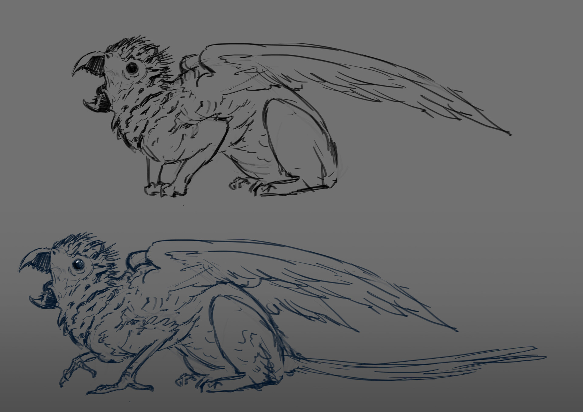 Francisco Chinchilla - Araré, the Brazilian dragon