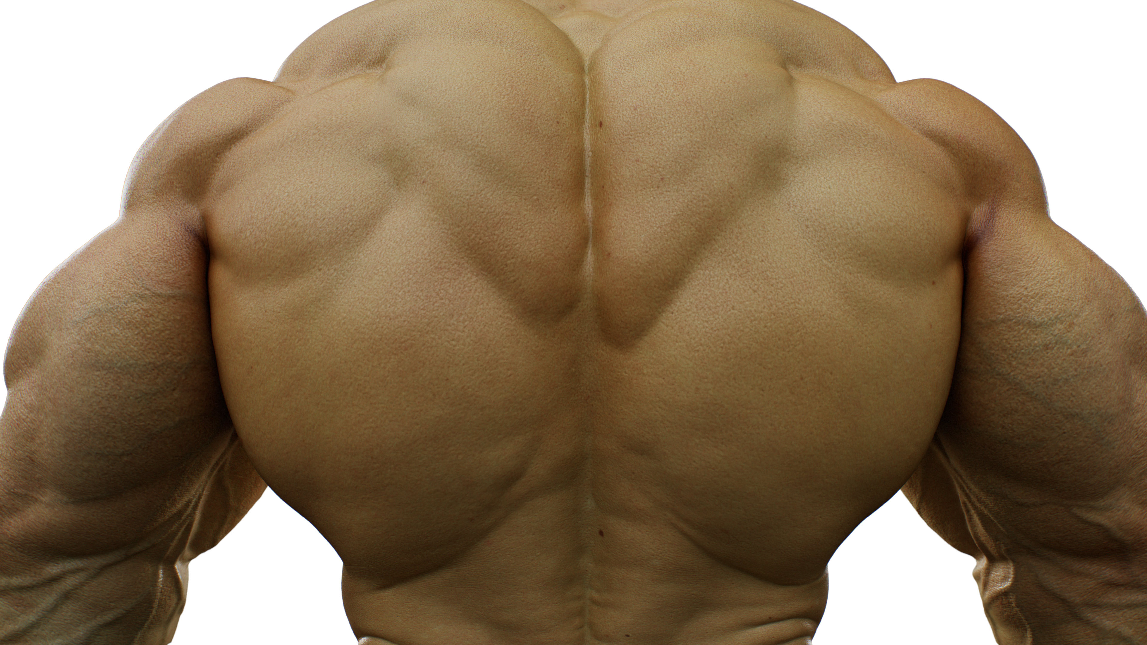 3D Scan Store - Big Guy