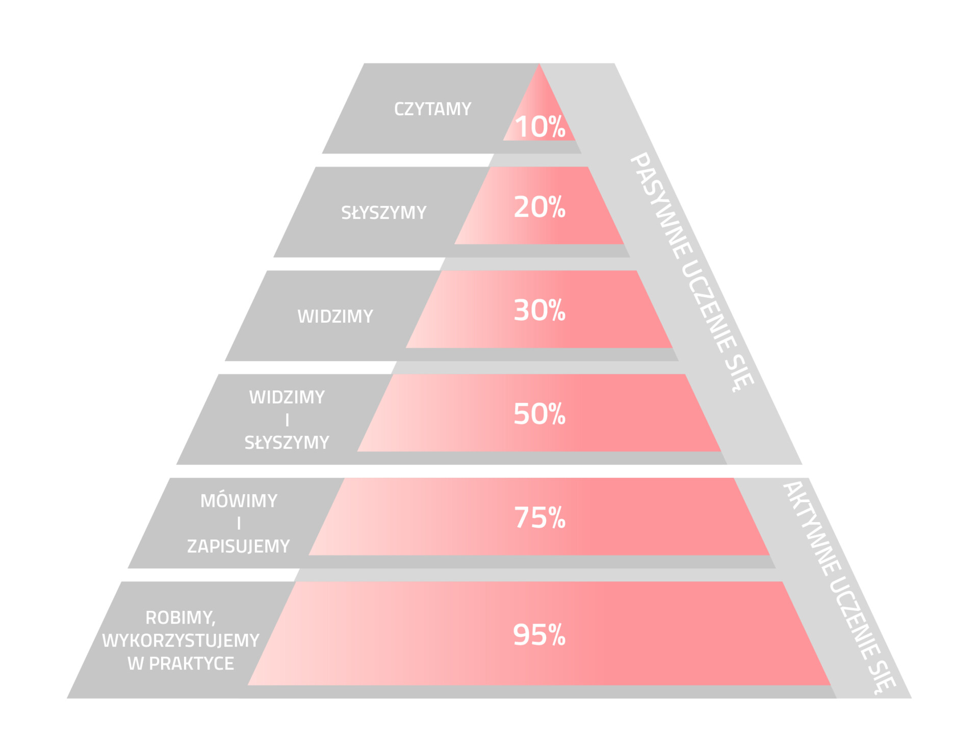 ArtStation - Infographic