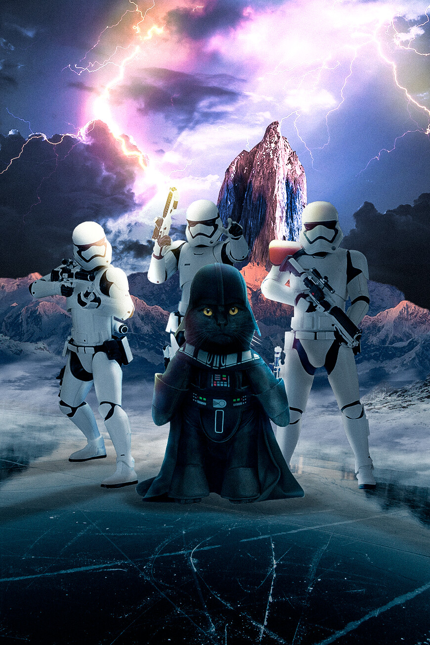 ArtStation - Darth Vader version cat