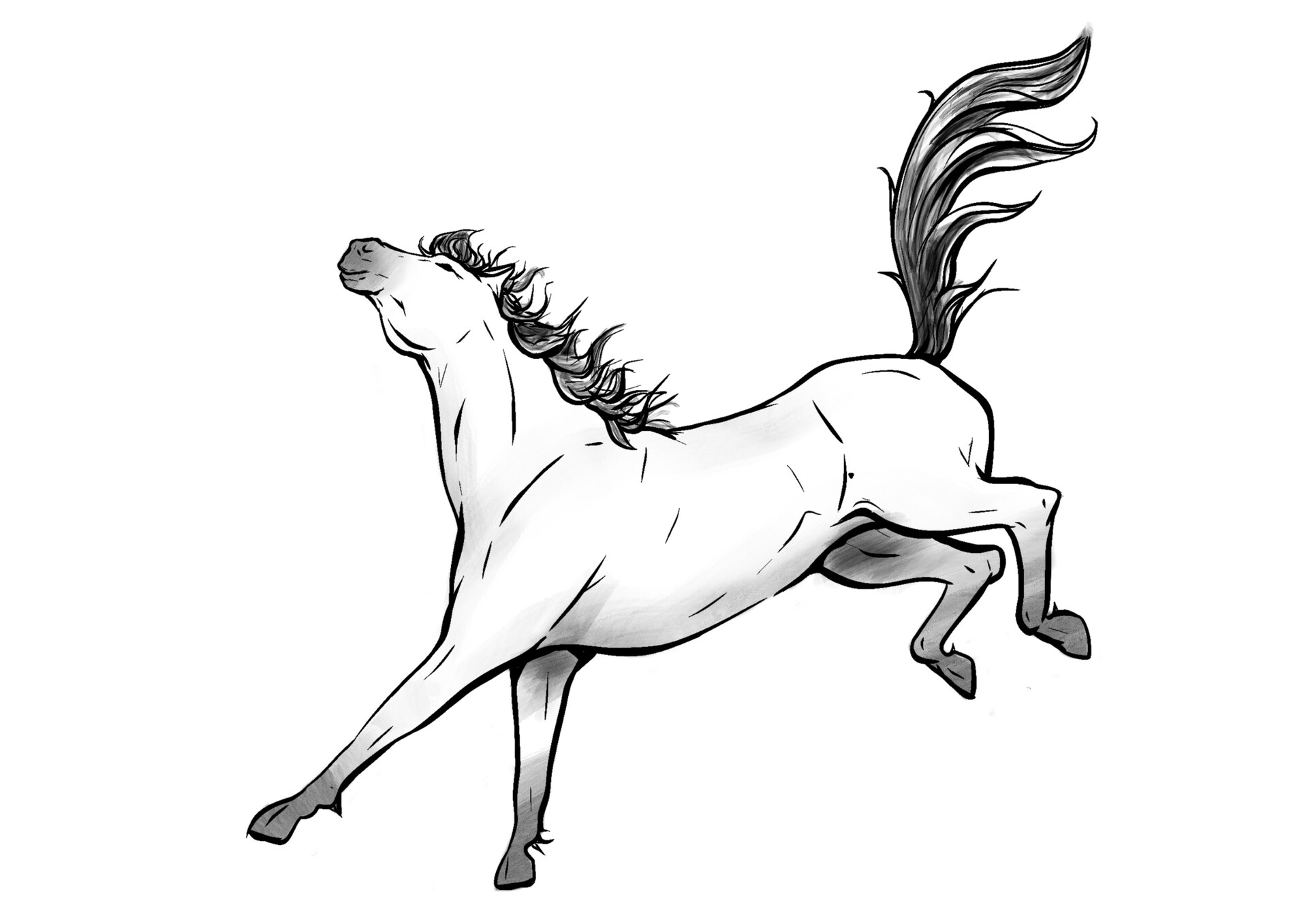 how to draw a horse rearing up step by step
