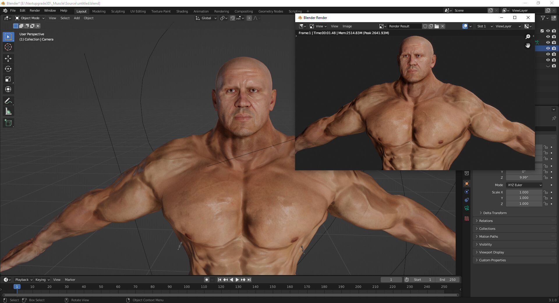 NextUpgrade3d - Realistic Male Bodybuilder 3D HQ Low-poly 3D model