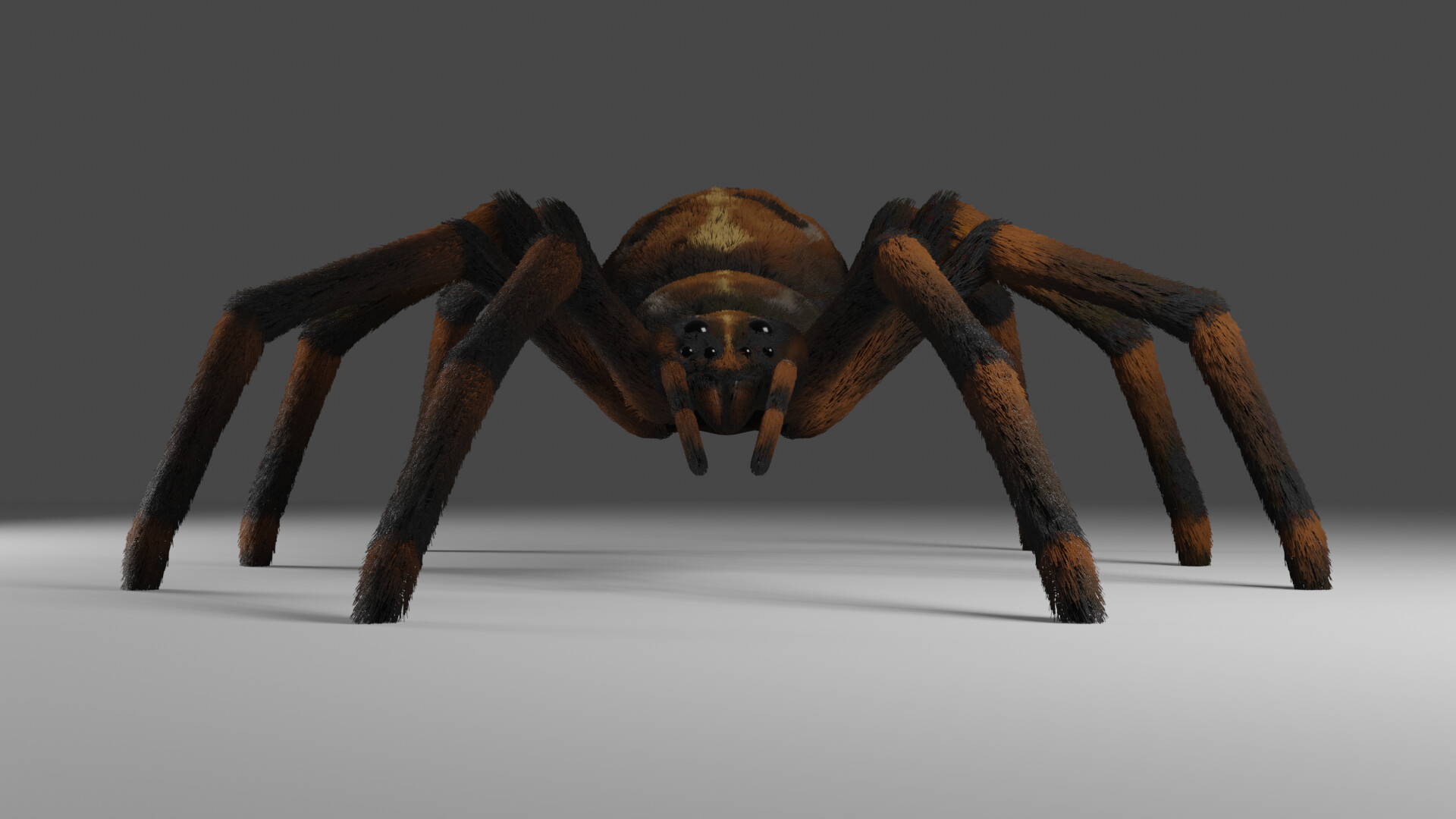 ArtStation - Spider