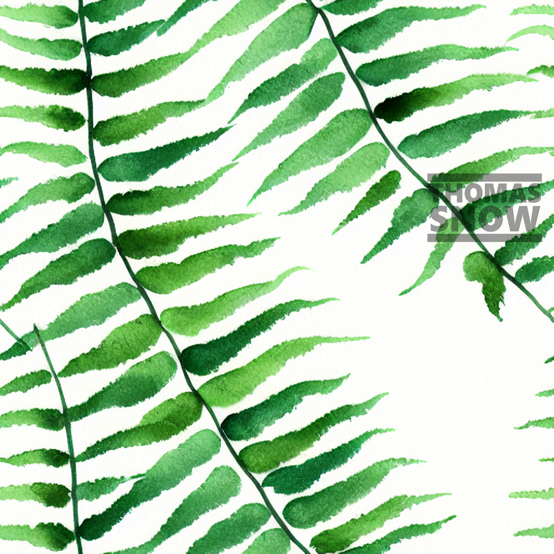 Thomas Snow - "Ferns and vines" seamless pattern collection