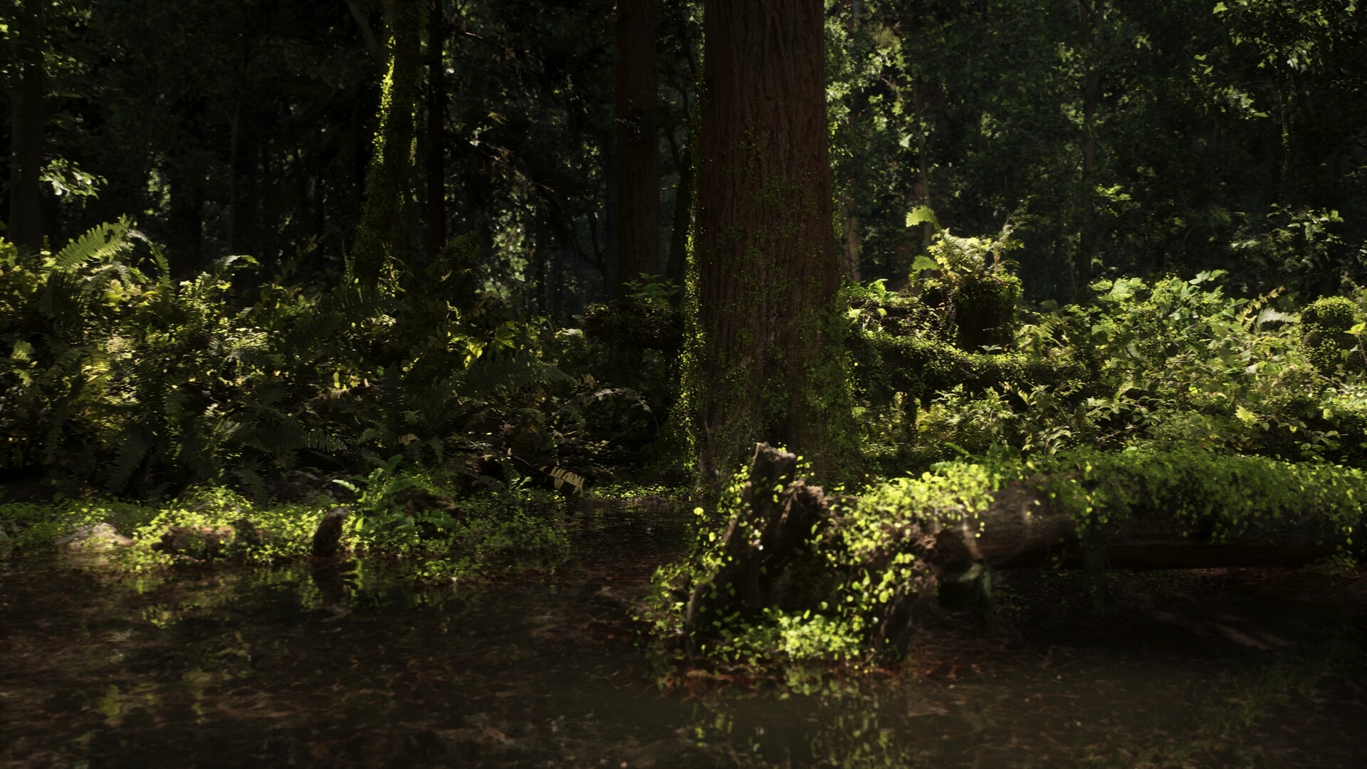 L. Torres - Forest Pools [UE5]