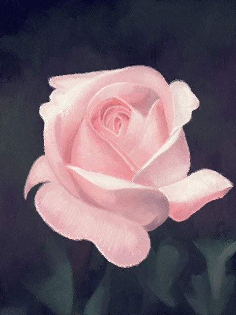 ArtStation - Beautiful Rose 6
