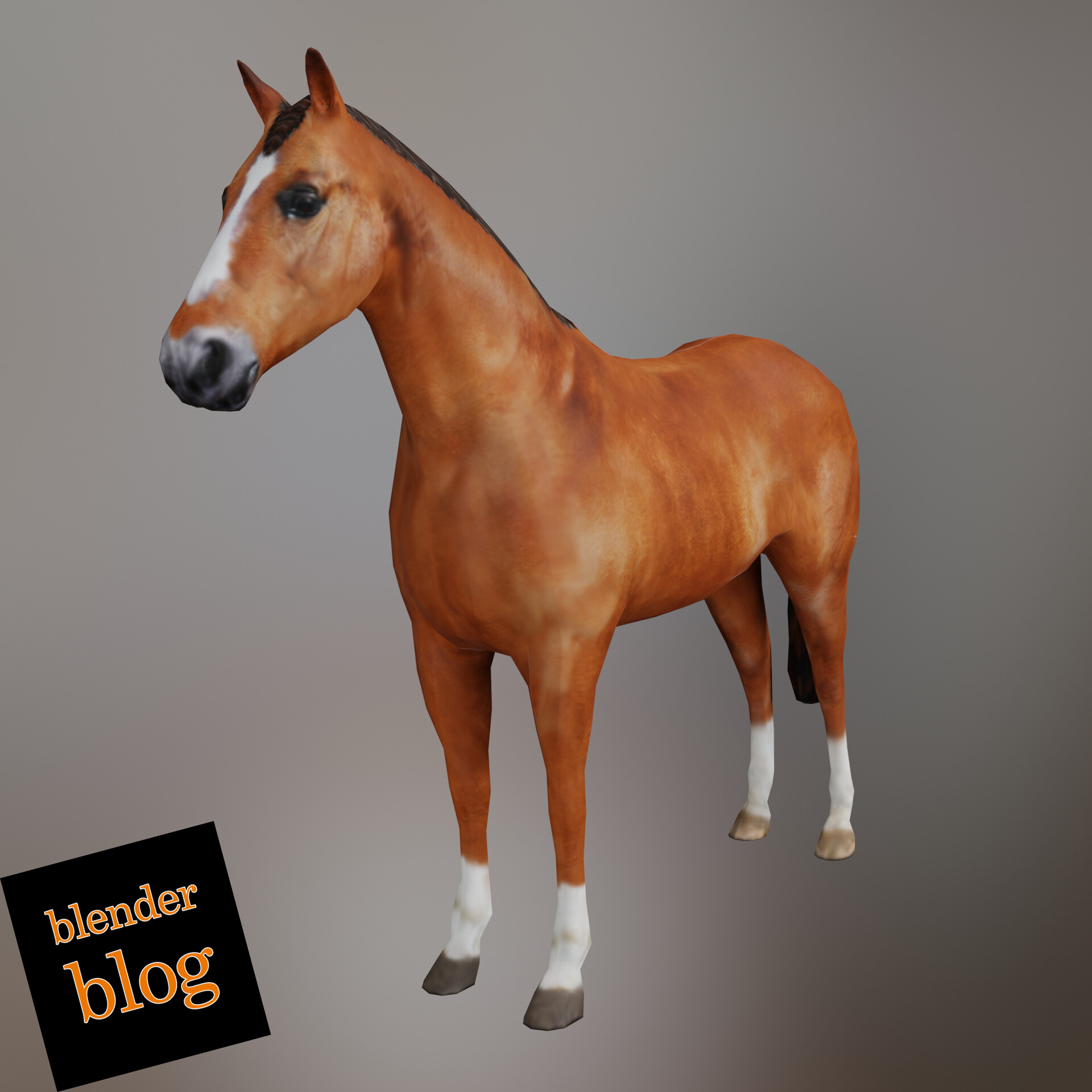 ArtStation - Cavallo