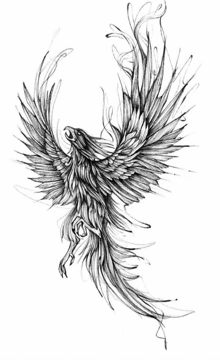 ArtStation - Firebird