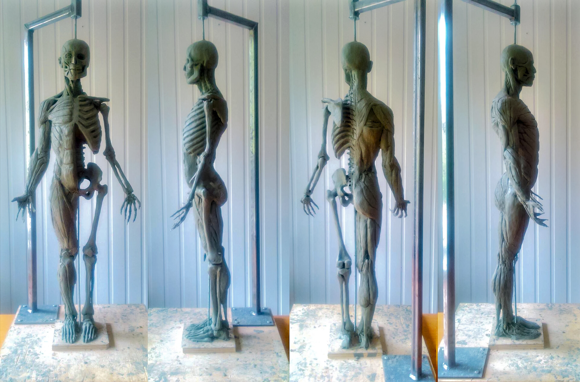 ArtStation - Ecorché