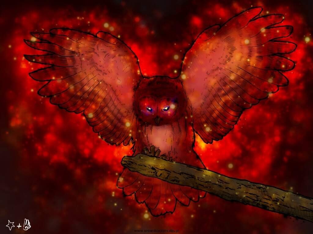 ArtStation - Magic Owl