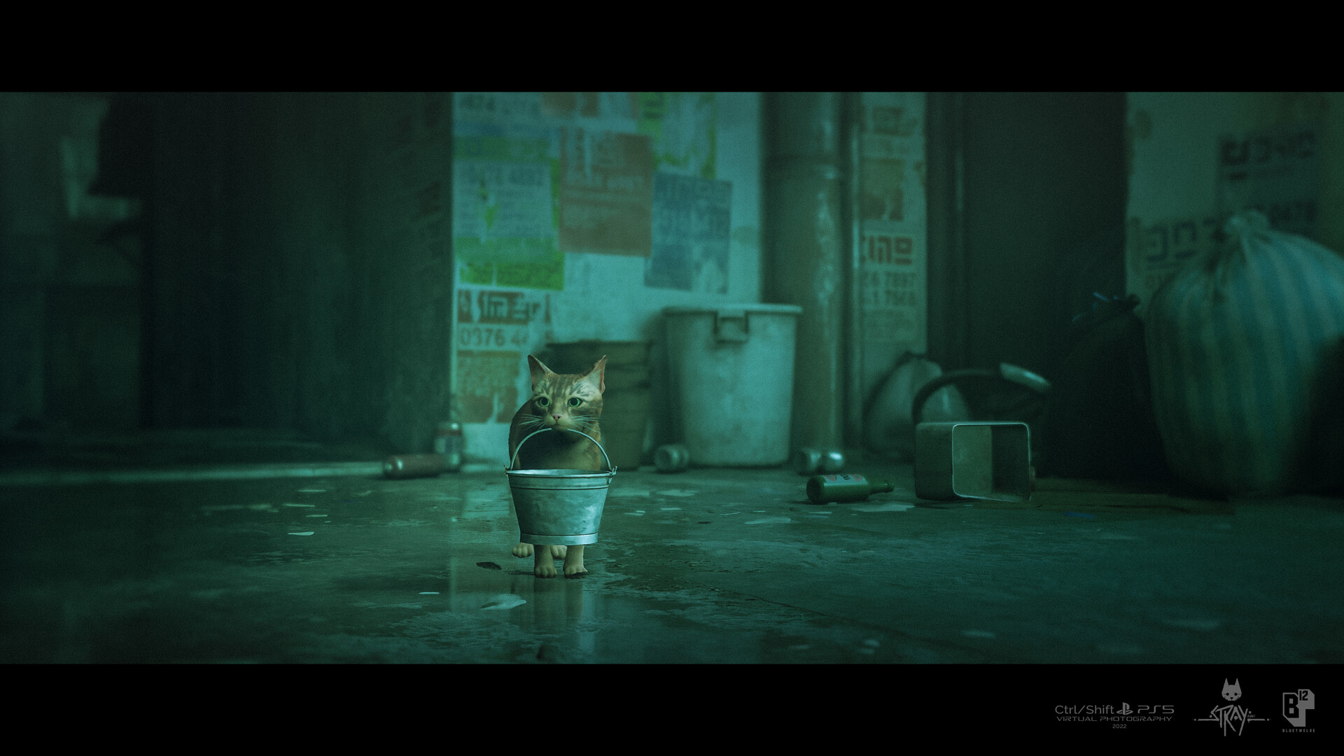 ArtStation - Virtual Photography : Stray