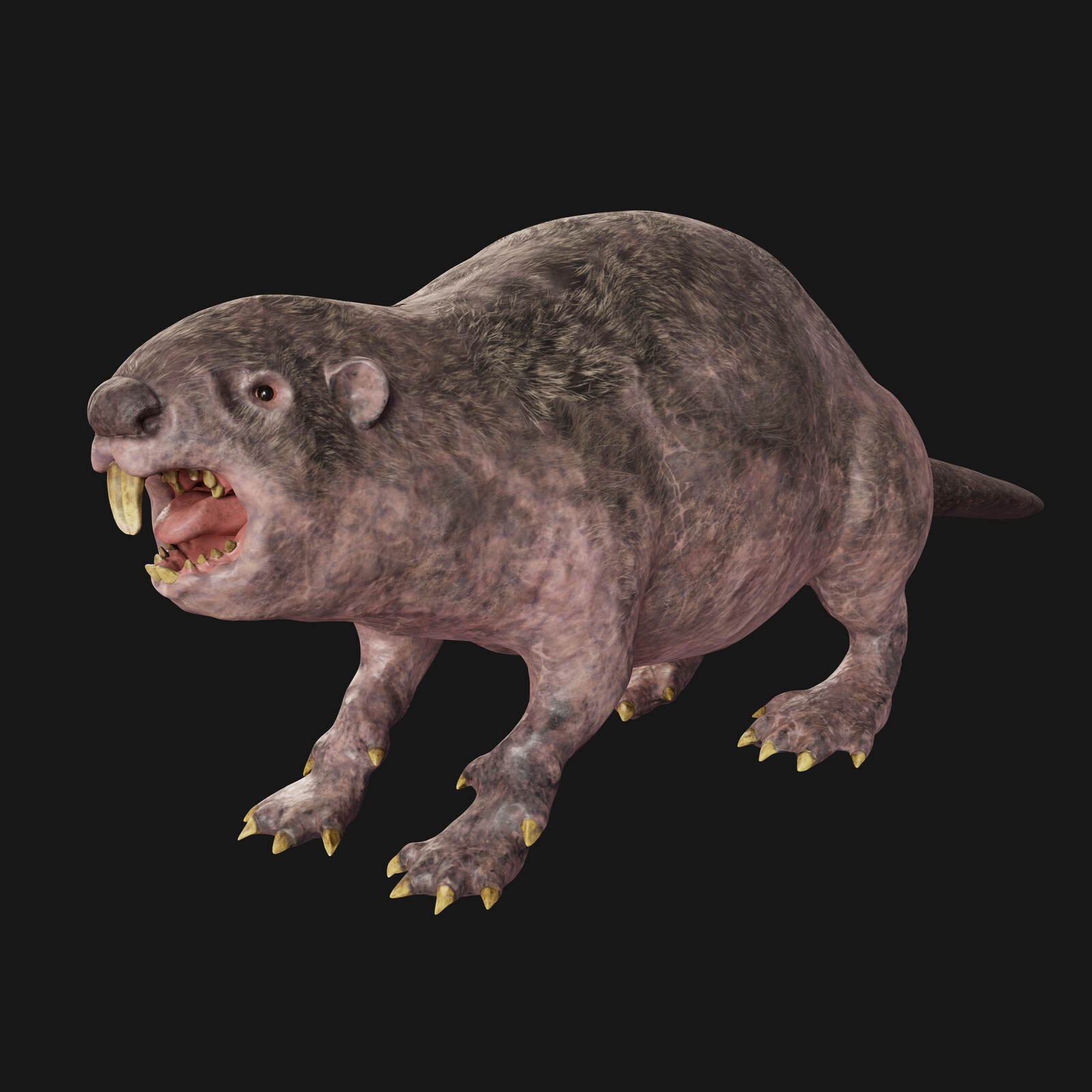 Trevor Bixler - Radbeaver