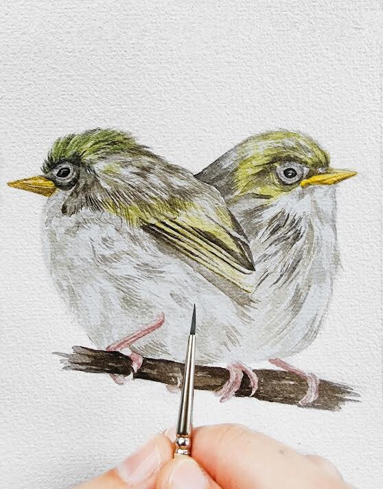 ArtStation - Tauhou fledgling study