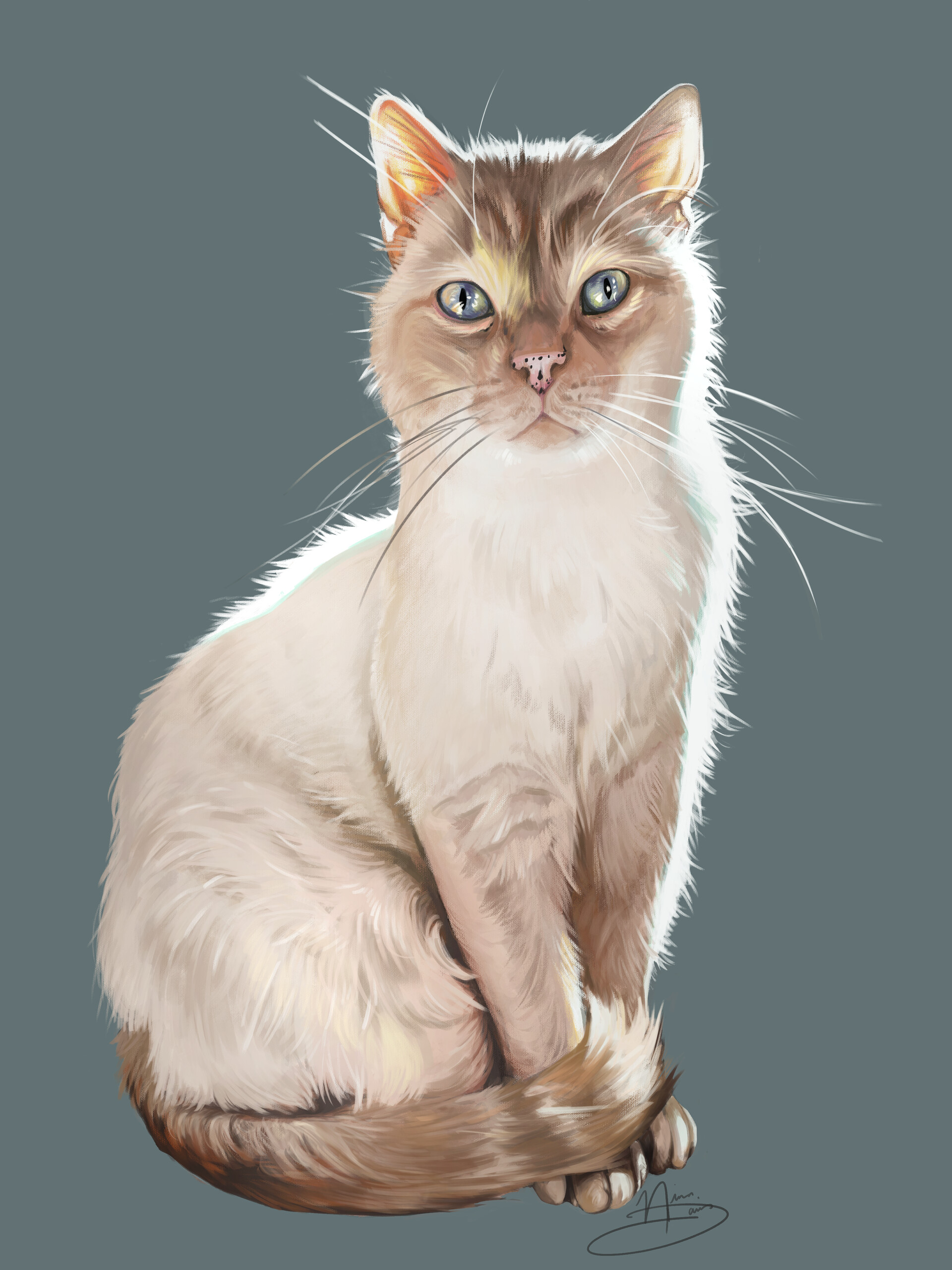 ArtStation - Steven the Cat