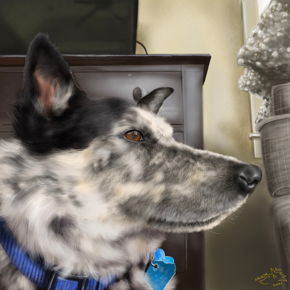 ArtStation - Dog Realism Study