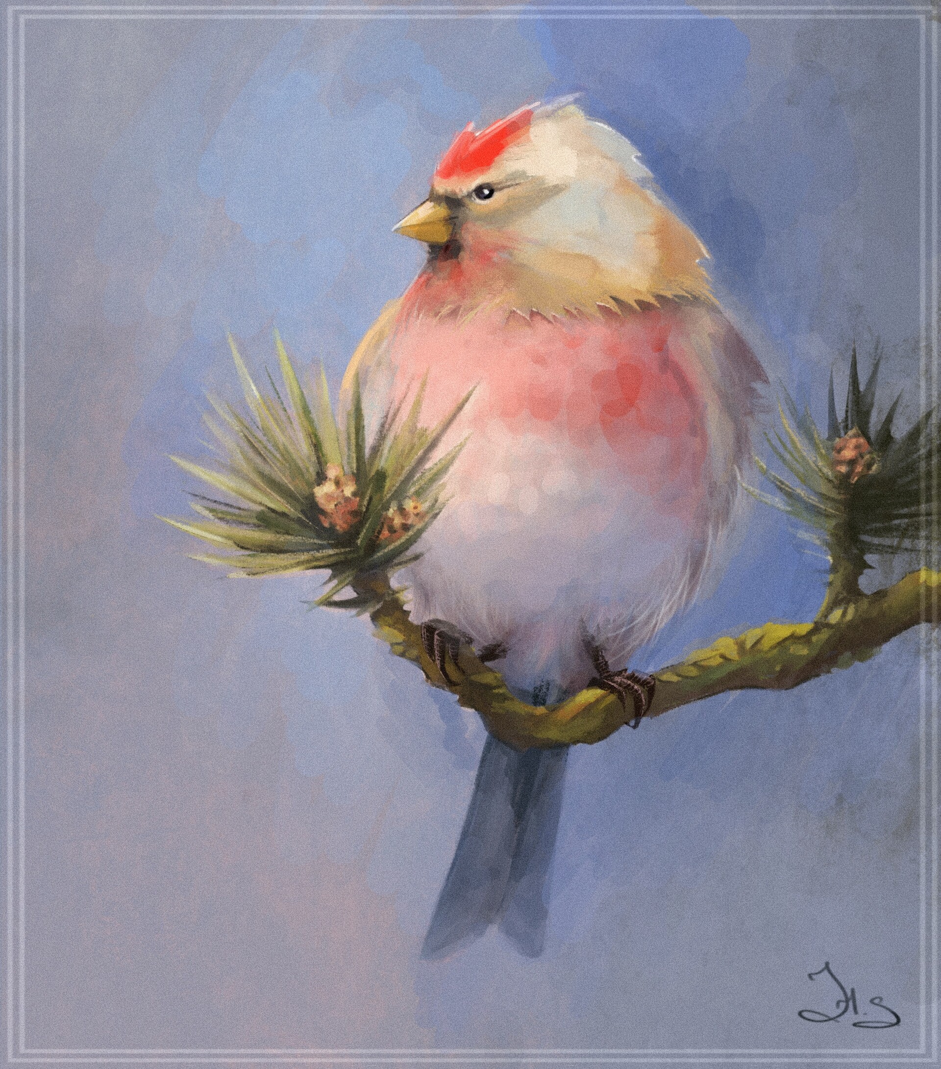 ArtStation - Sketch of birdie