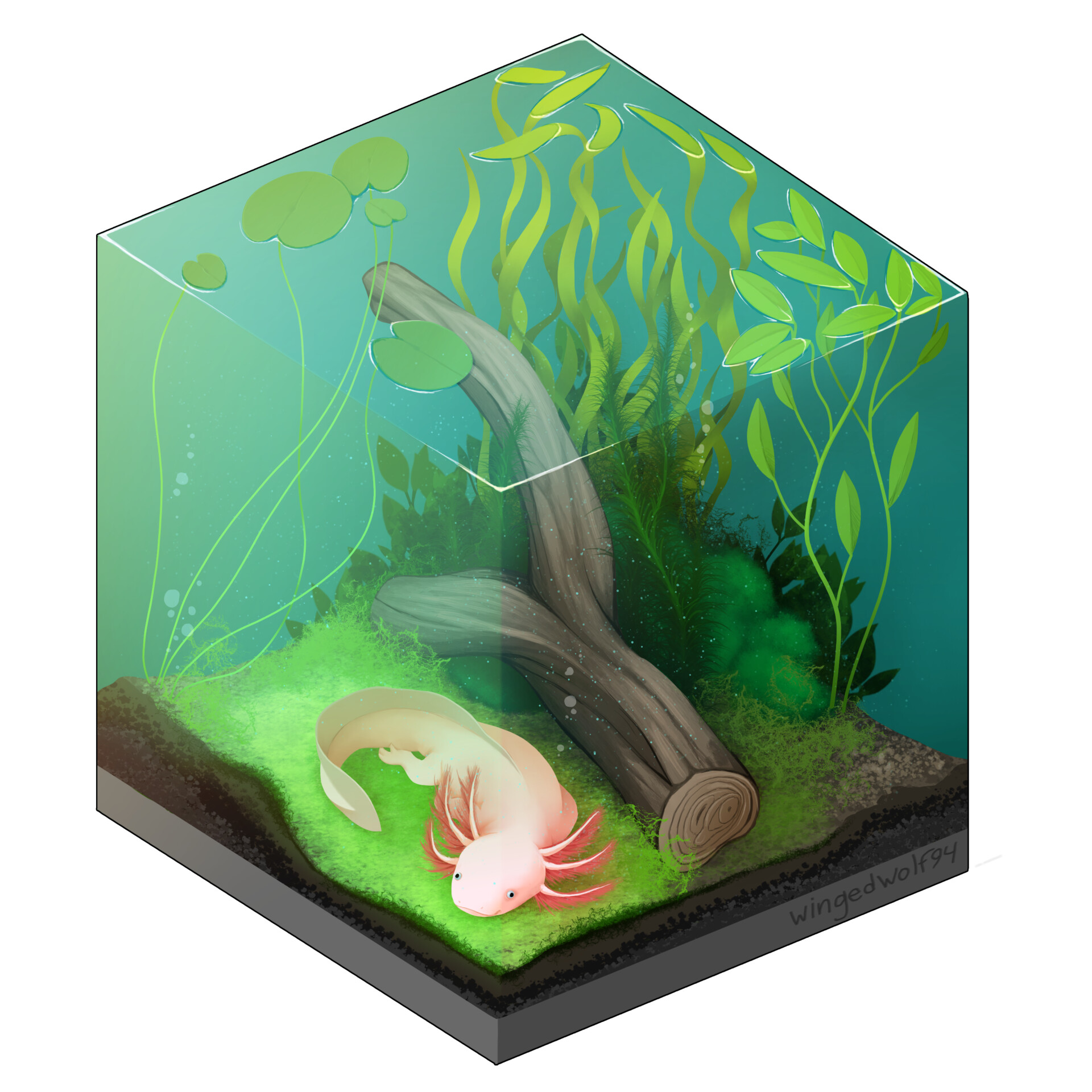 ArtStation - Axolotl Cube