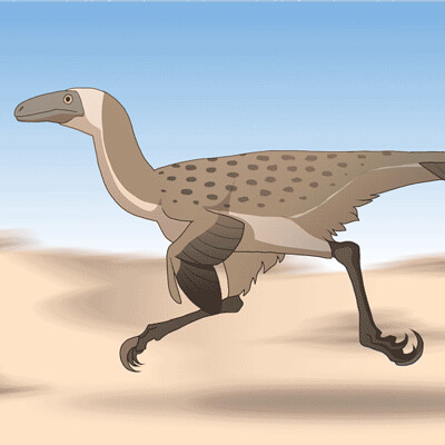 wingedwolf94 - Animation