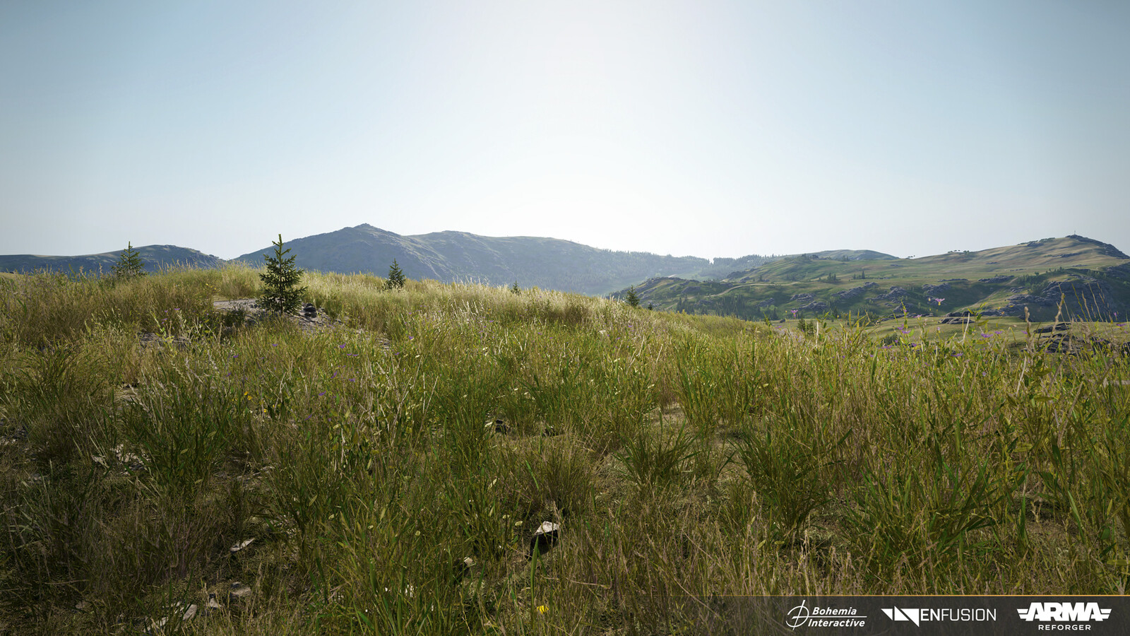 Jan Javůrek - Arma Reforger Vegetation