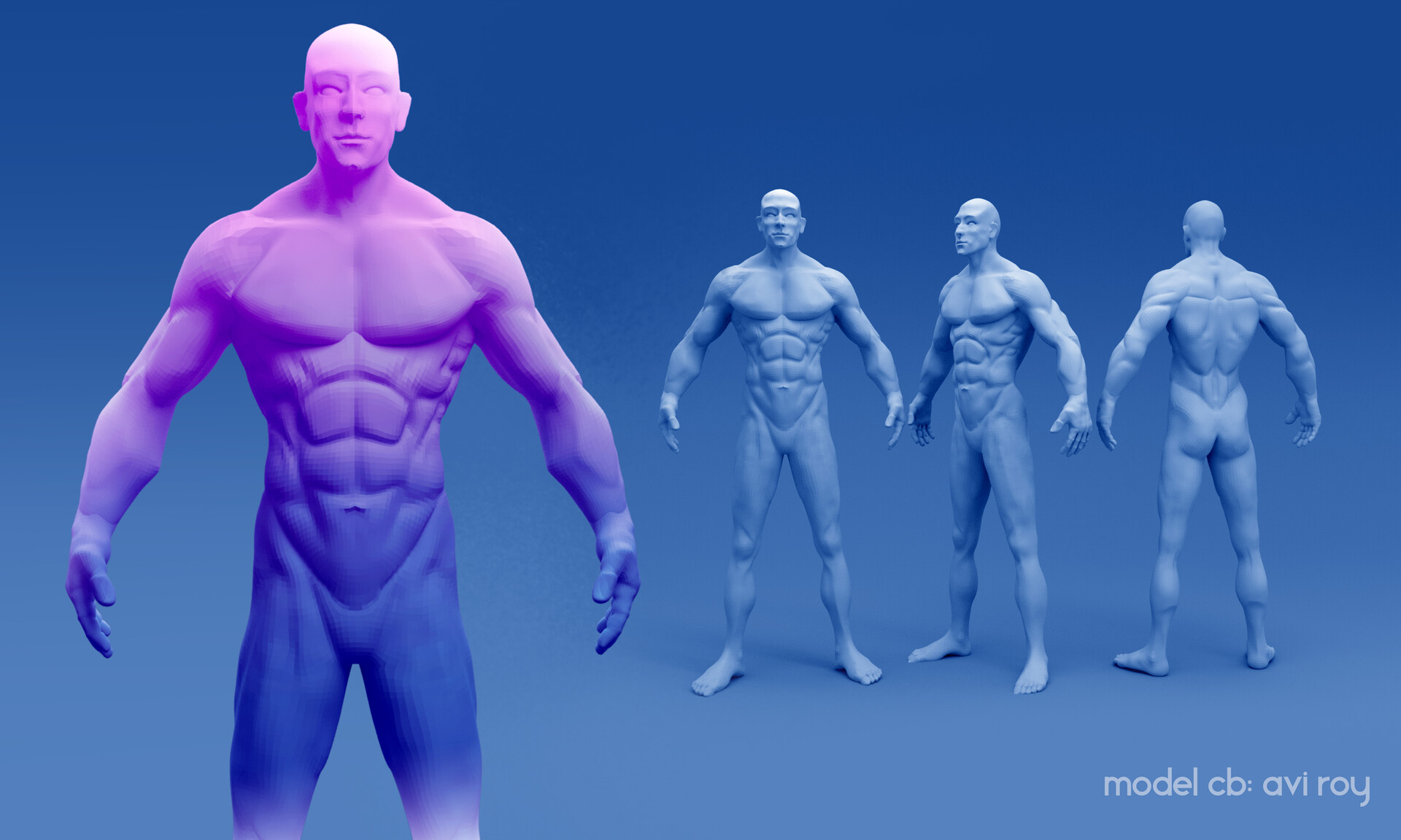 ArtStation - Anatomy Study