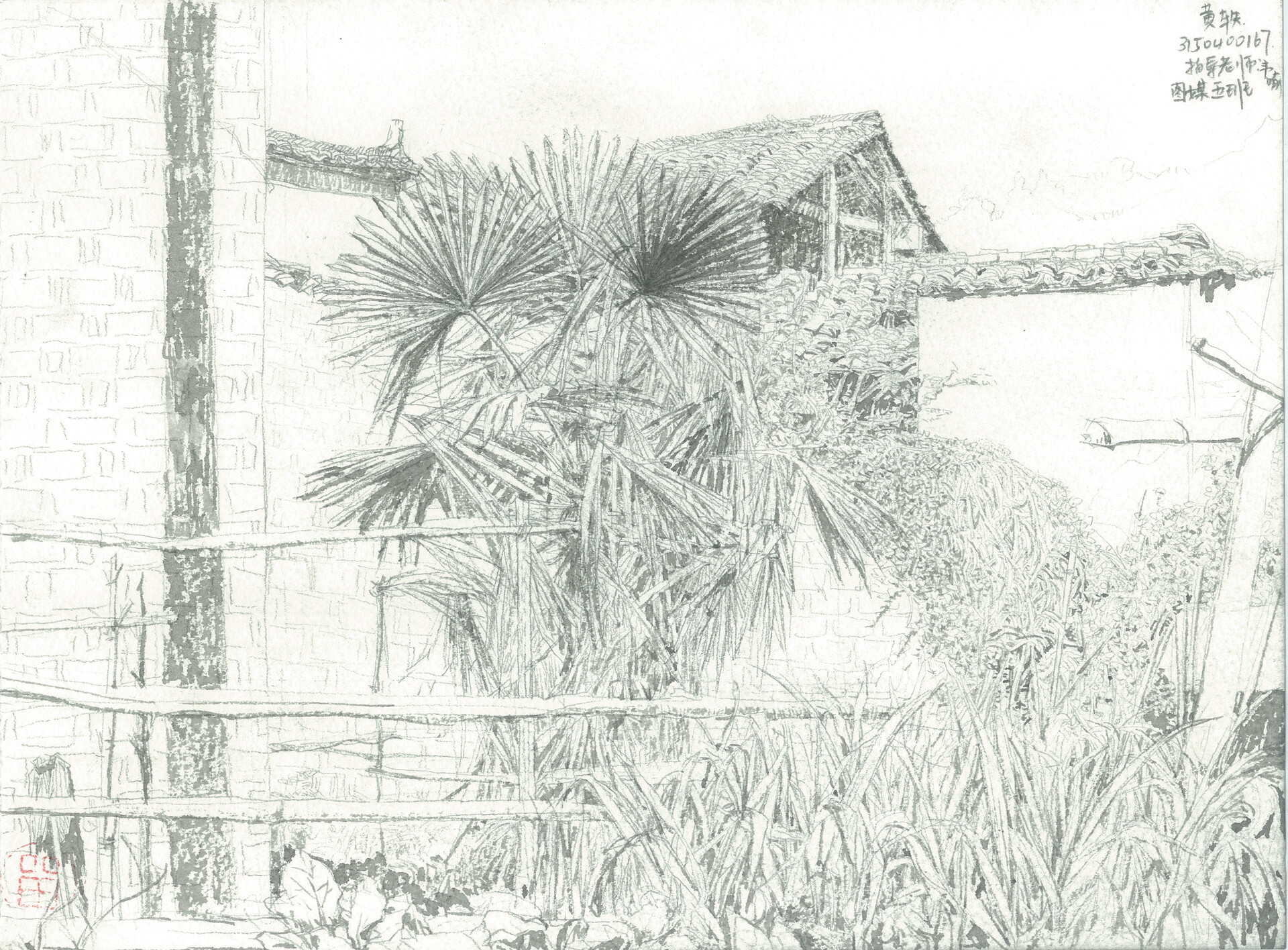 ArtStation - Nature / Life Drawings