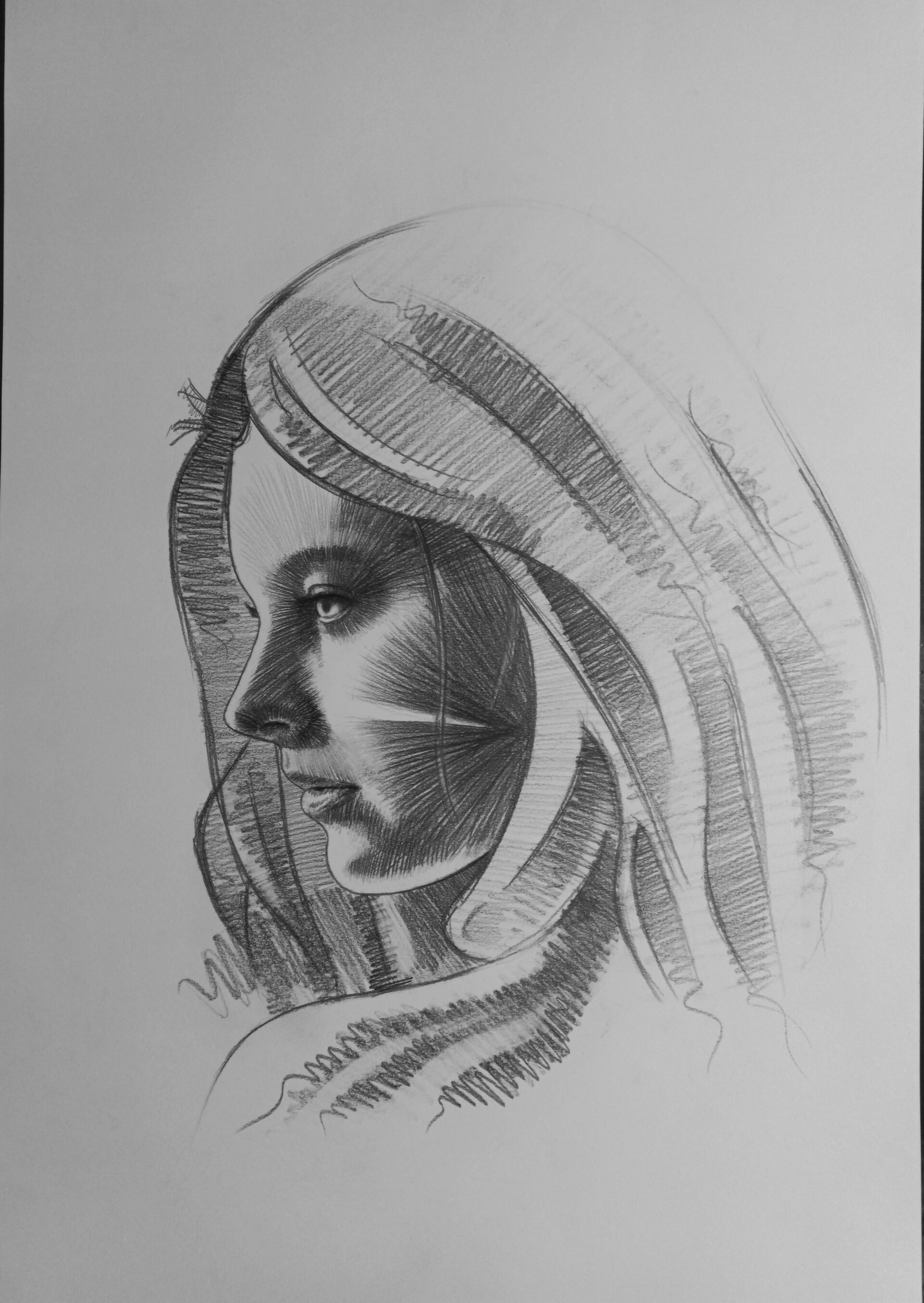 ArtStation - Portrait sketch