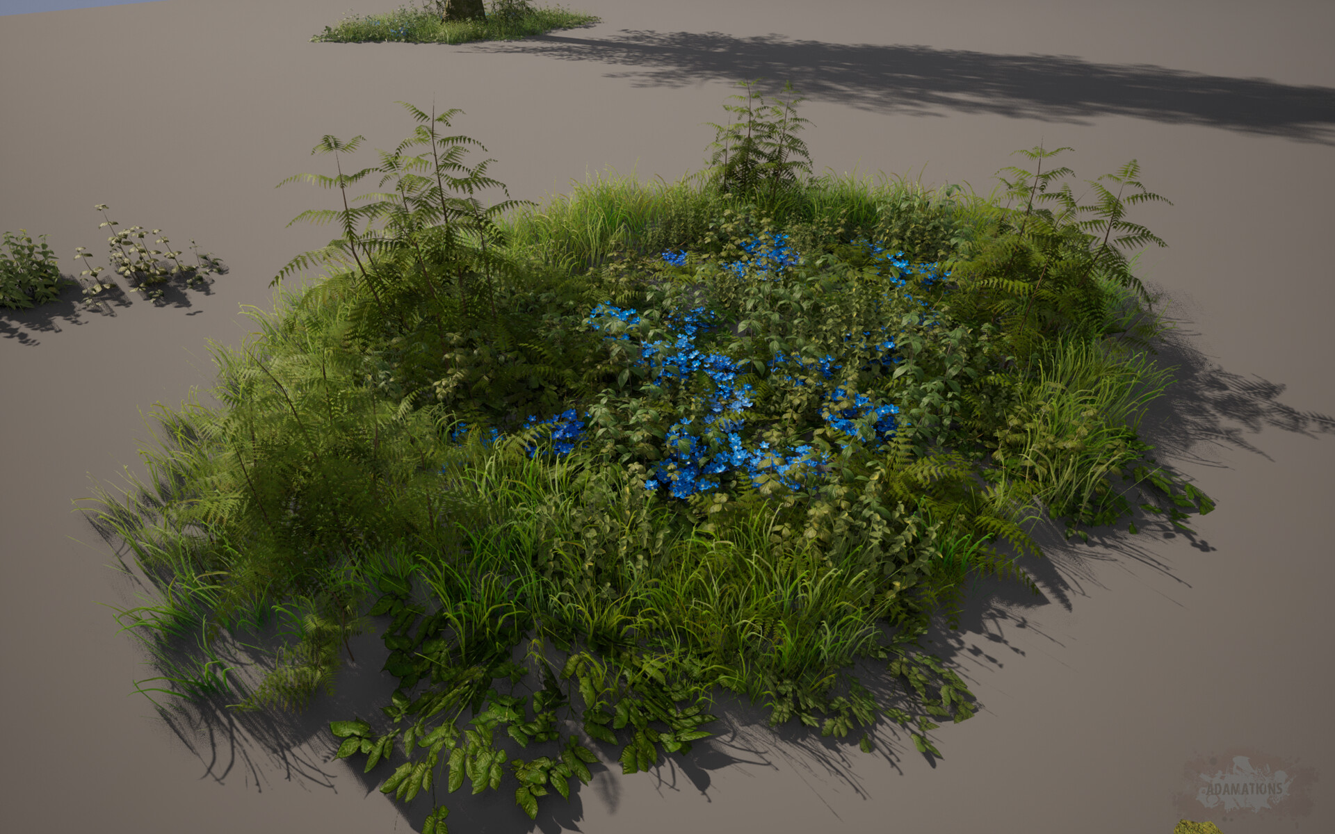 Adam sharp - Forest Chapel