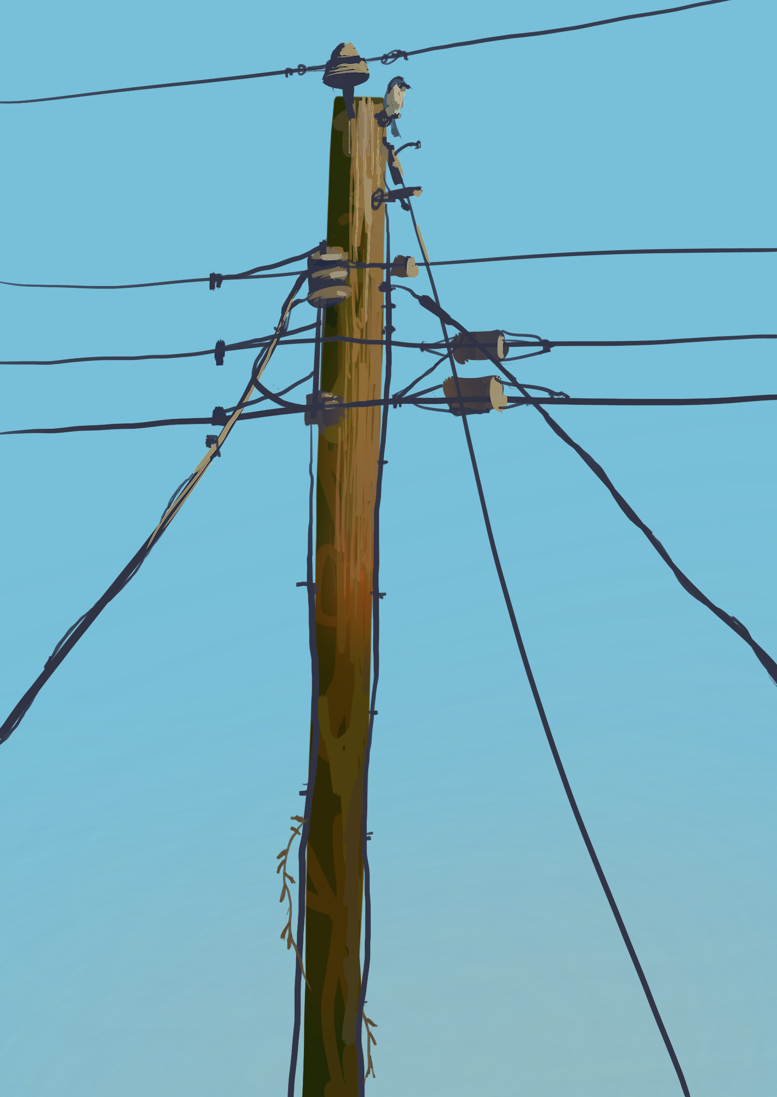 Rory Alan MacLean - Experiments and Studies