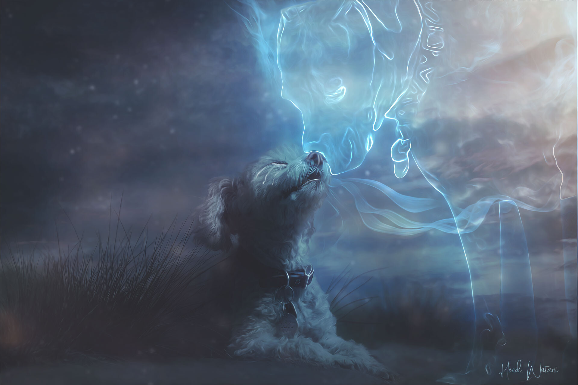 ArtStation - spirits