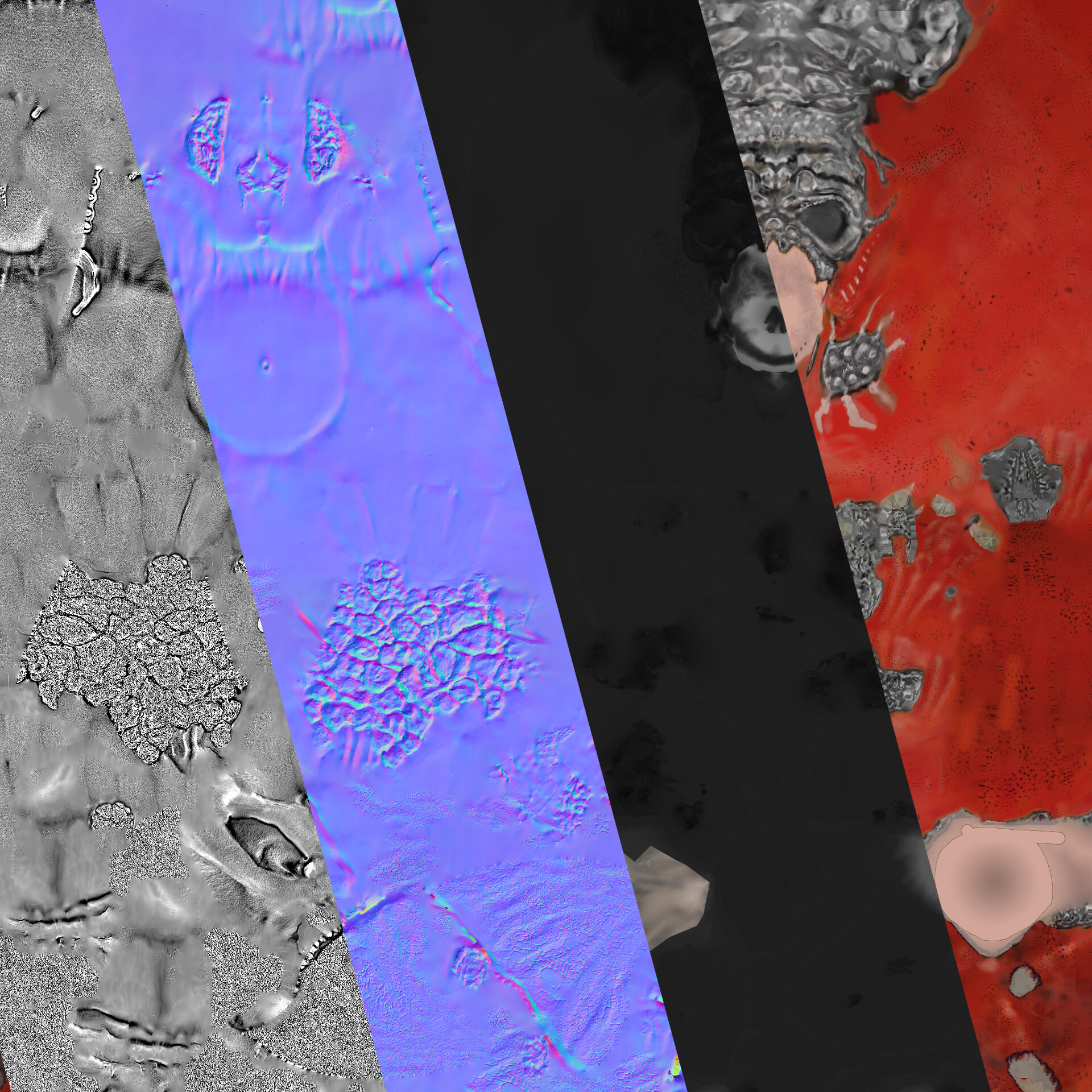 Sebastien Roy - Final stand