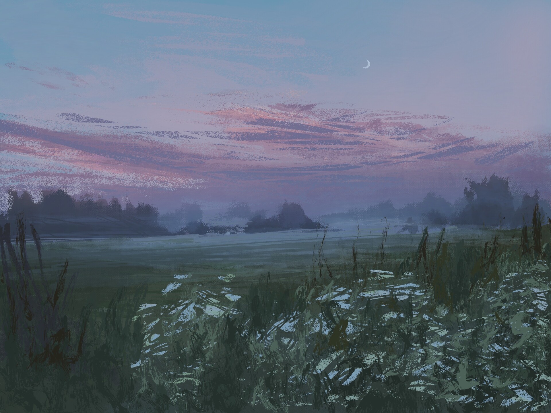 ArtStation - Dawn - photo study